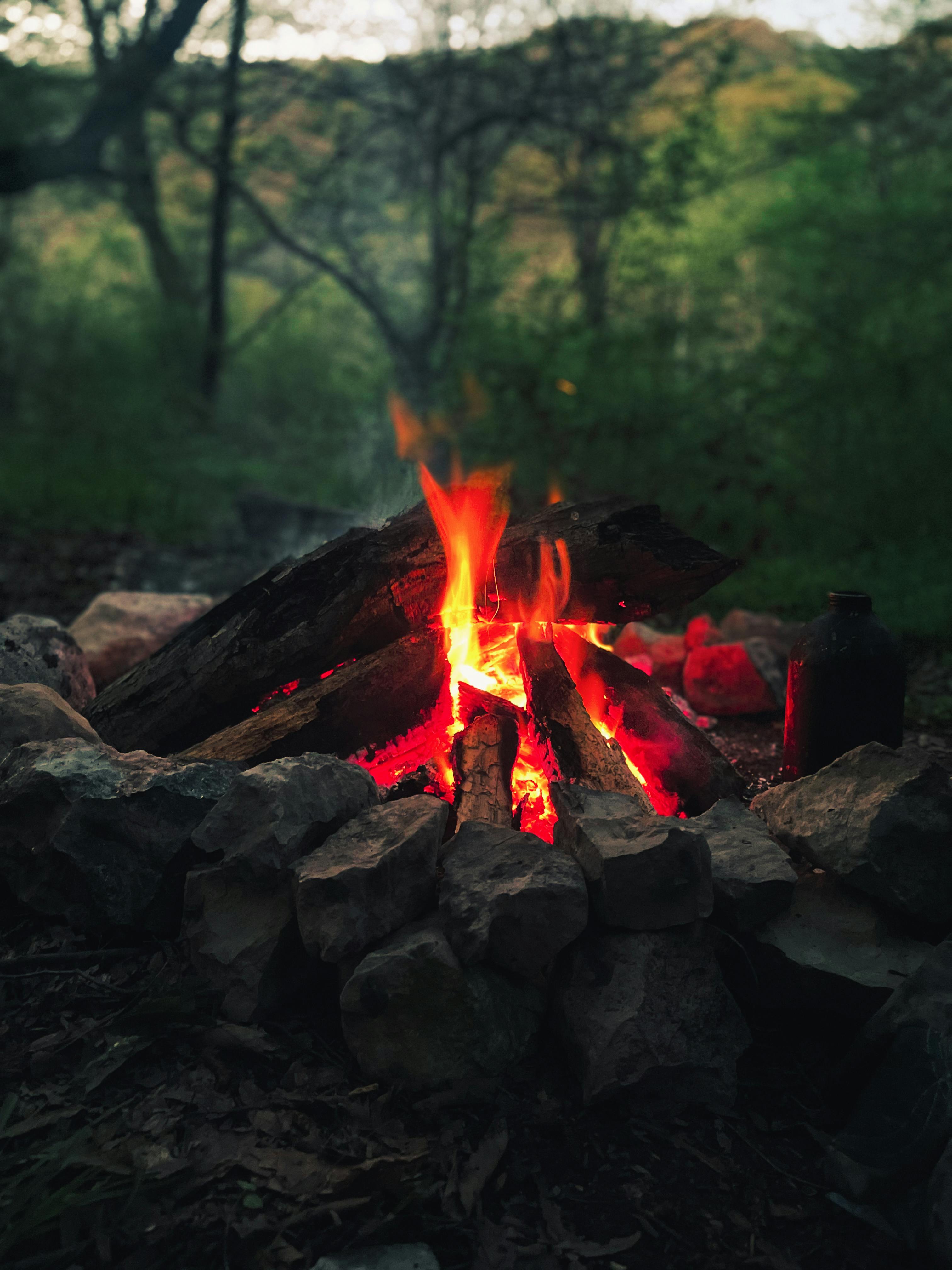 Acogedora Fogata En Un Bosque Iraní Al Atardecer · Foto de stock gratuita