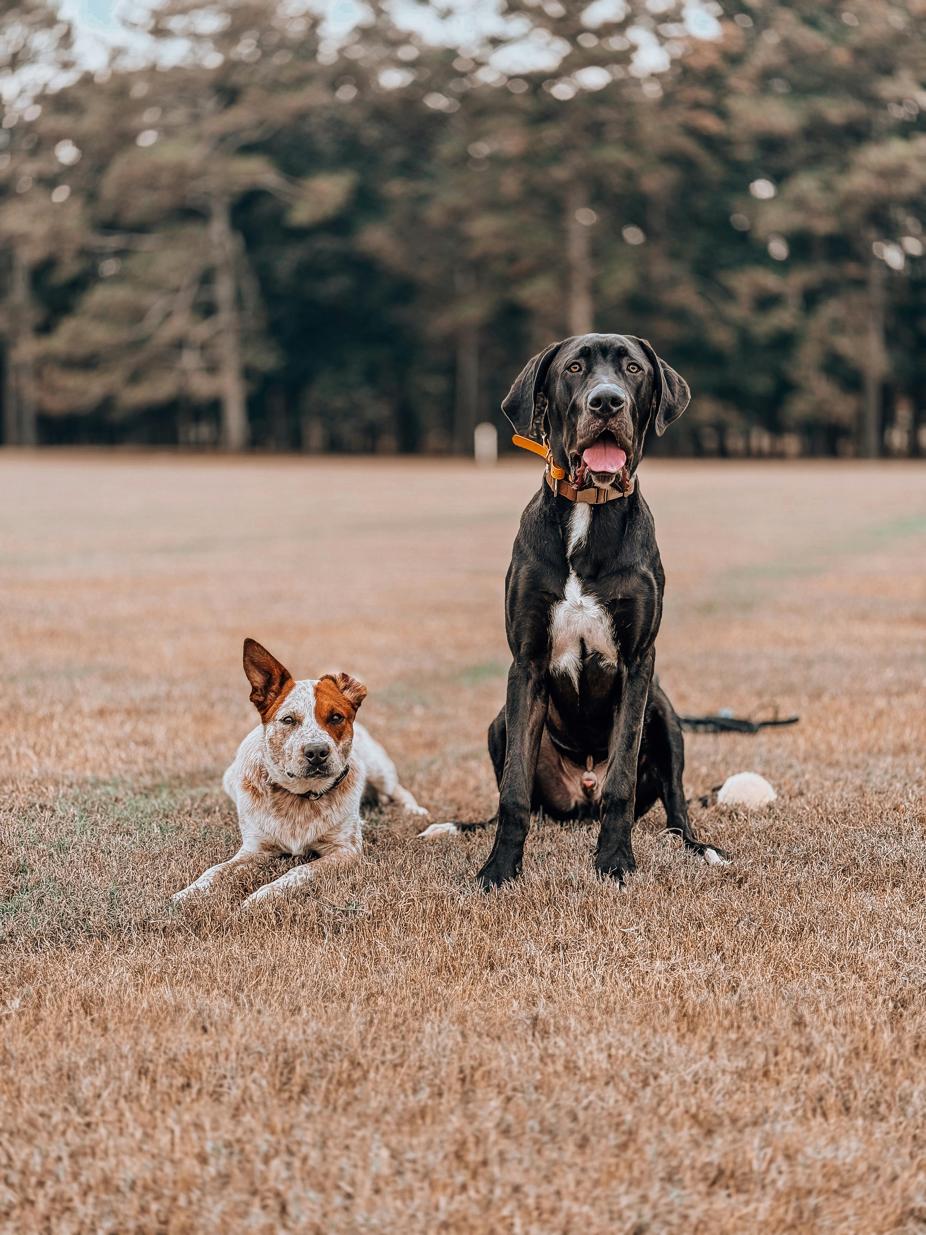 Mapeh+Background+Design Photos, Download The BEST Free Mapeh+Background ...