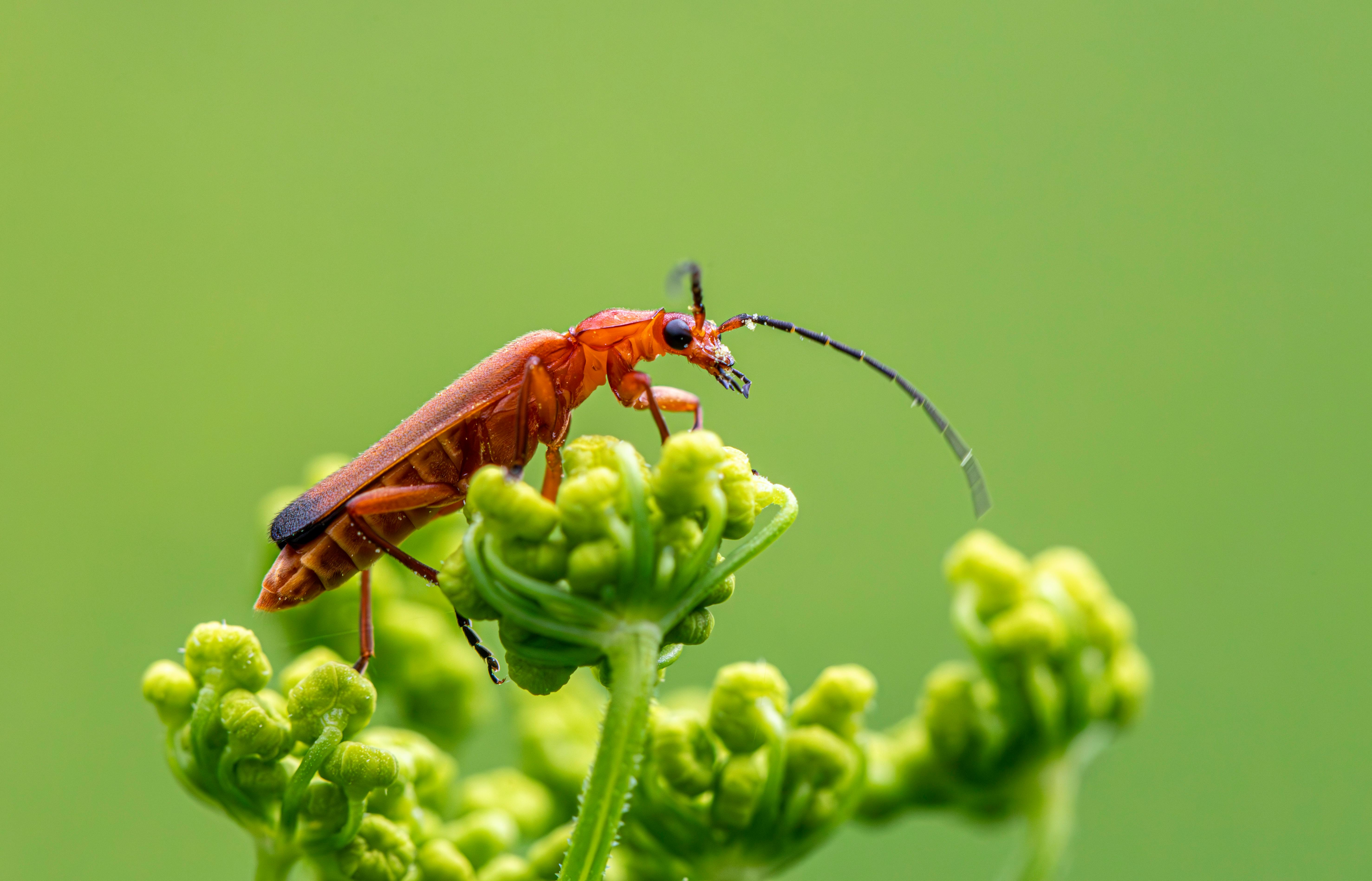 Tiny+Elli Photos, Download The BEST Free Tiny+Elli Stock Photos & HD Images