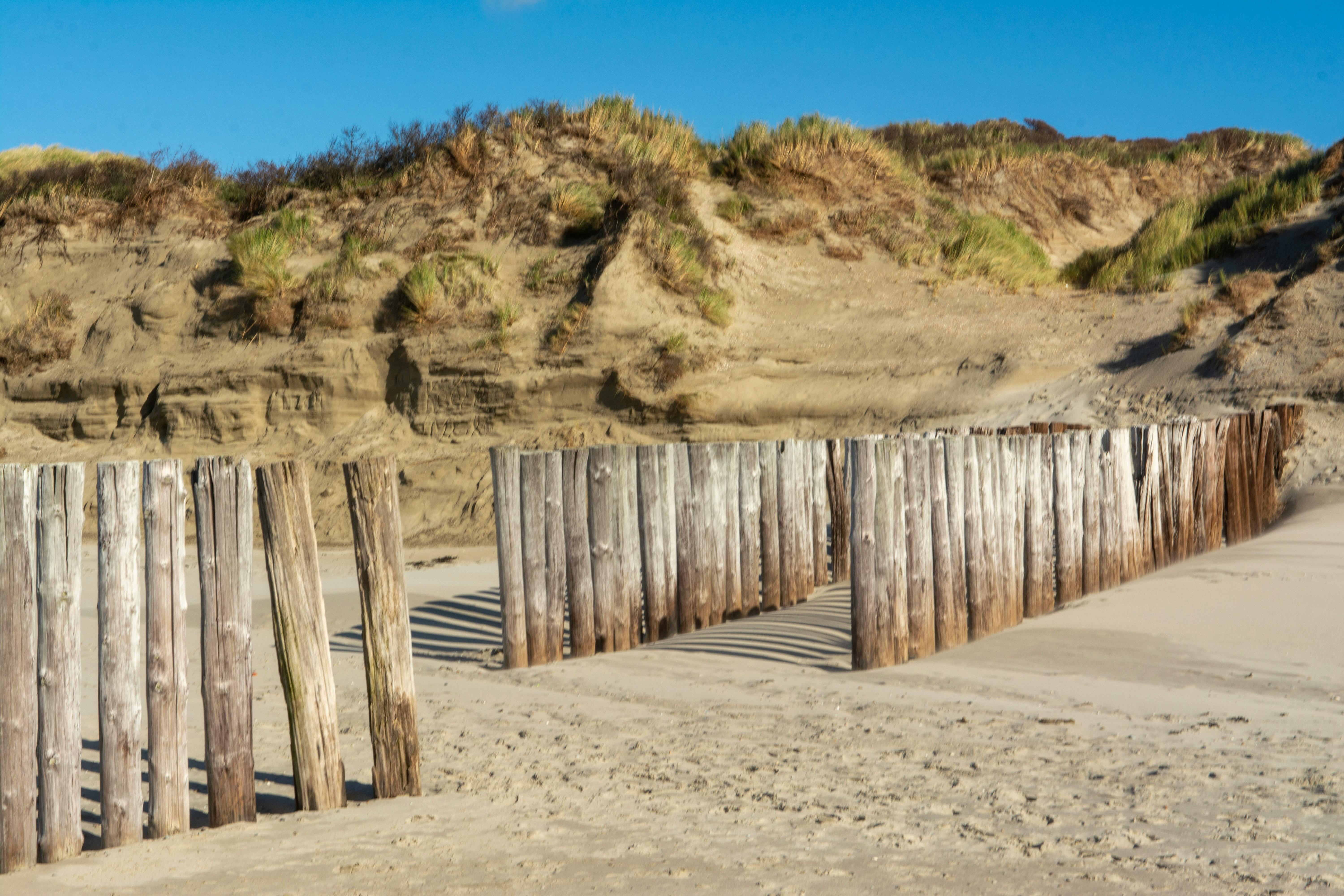 Dunas De Arena Costeras Con Pilotes De Madera · Foto de stock gratuita