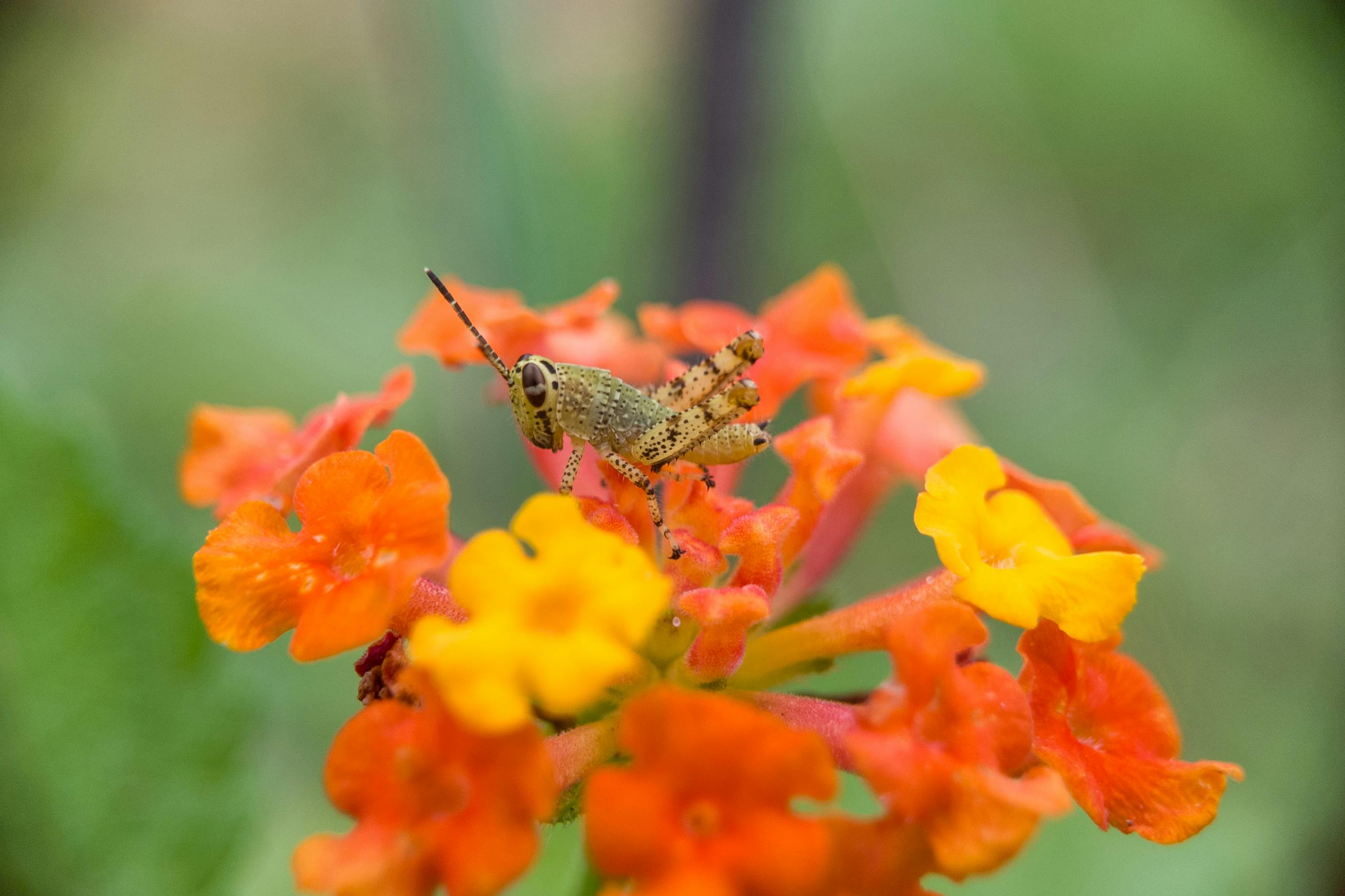 Maria+Bartiromo+Legs Photos, Download The BEST Free Maria+Bartiromo ...