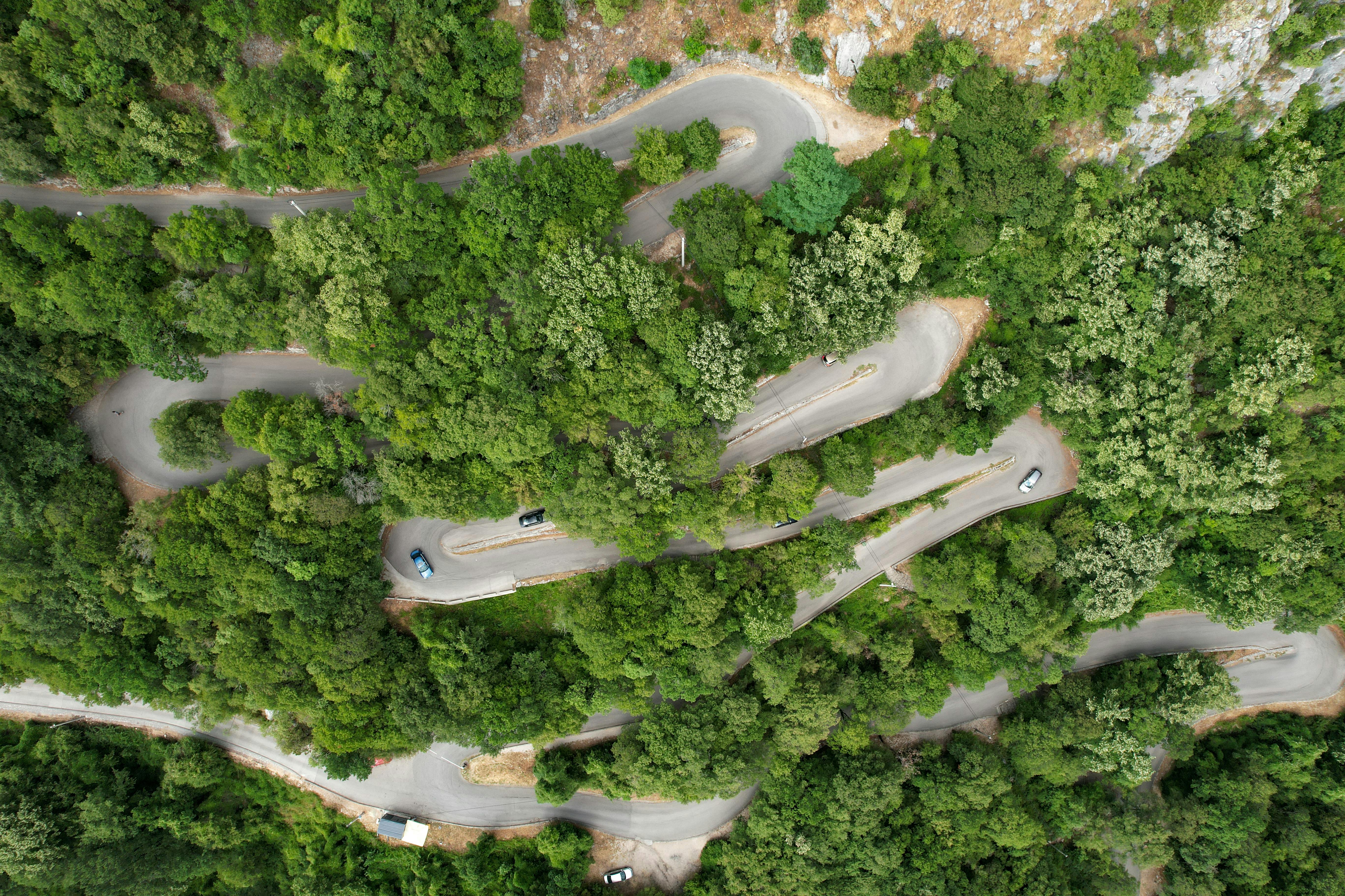 Forest Interception Photos, Download The BEST Free Forest Interception ...