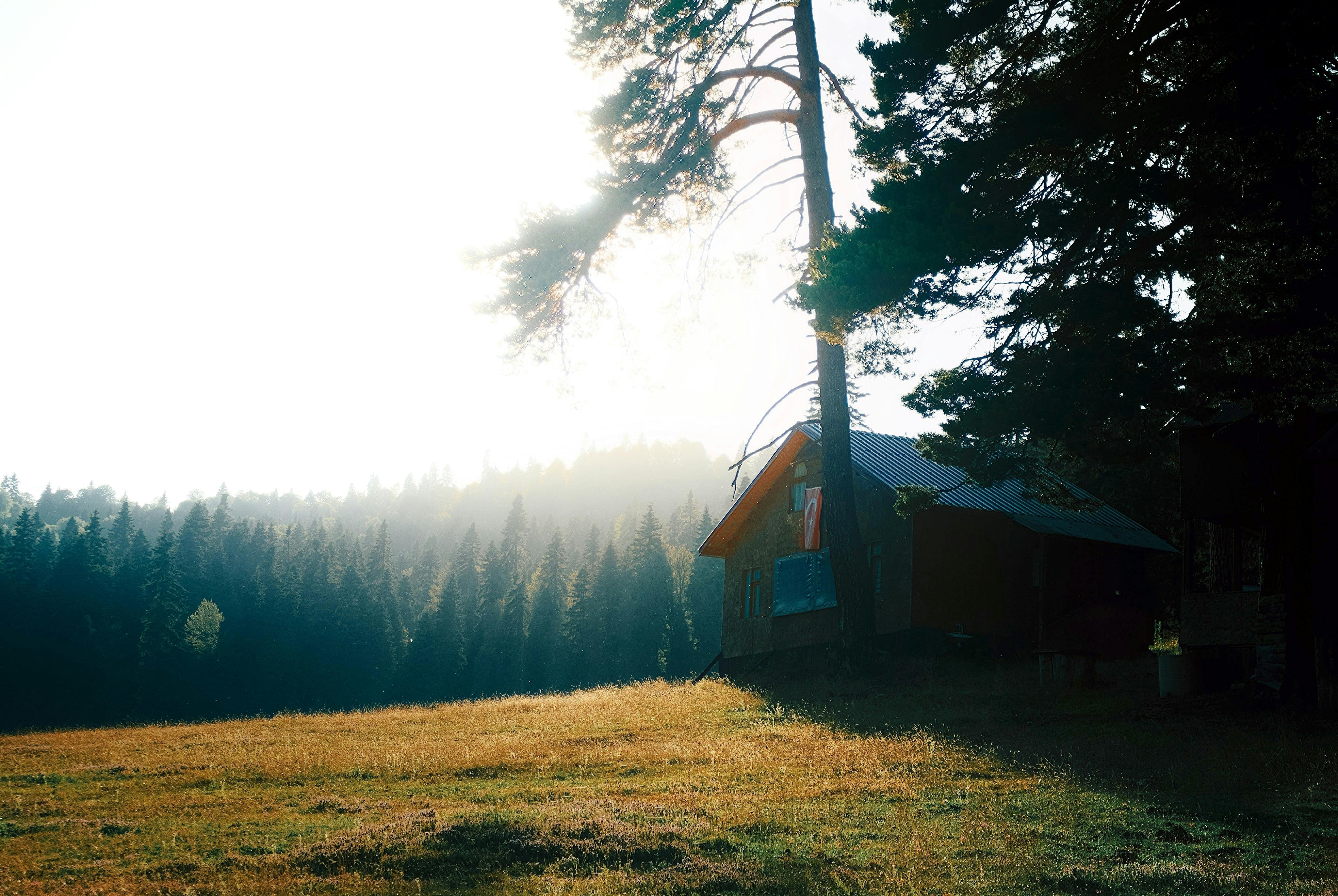 Wood Shake Roof Photos, Download The BEST Free Wood Shake Roof Stock ...