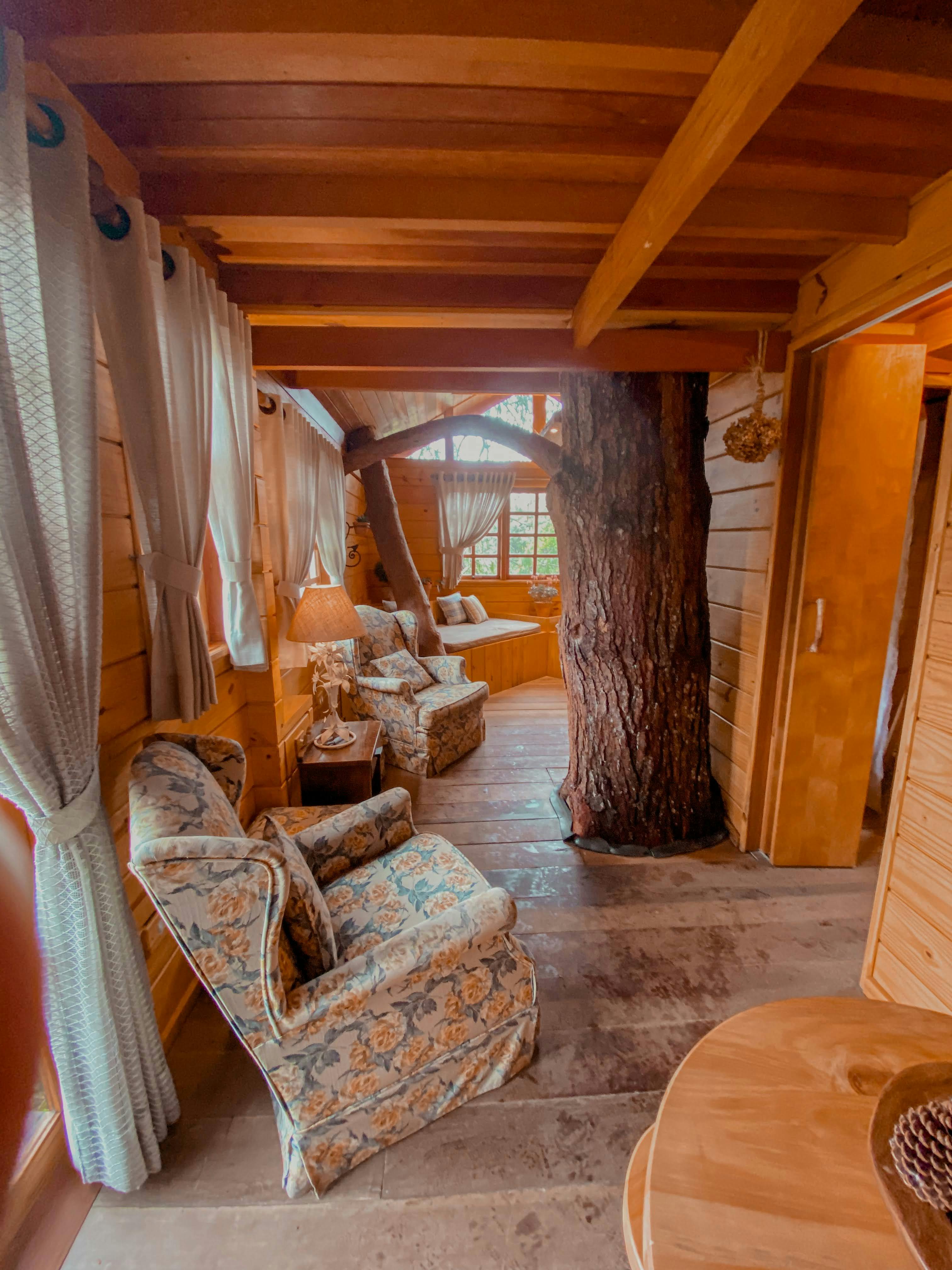 Cozy Tree House Interior with Natural Light · Free Stock Photo