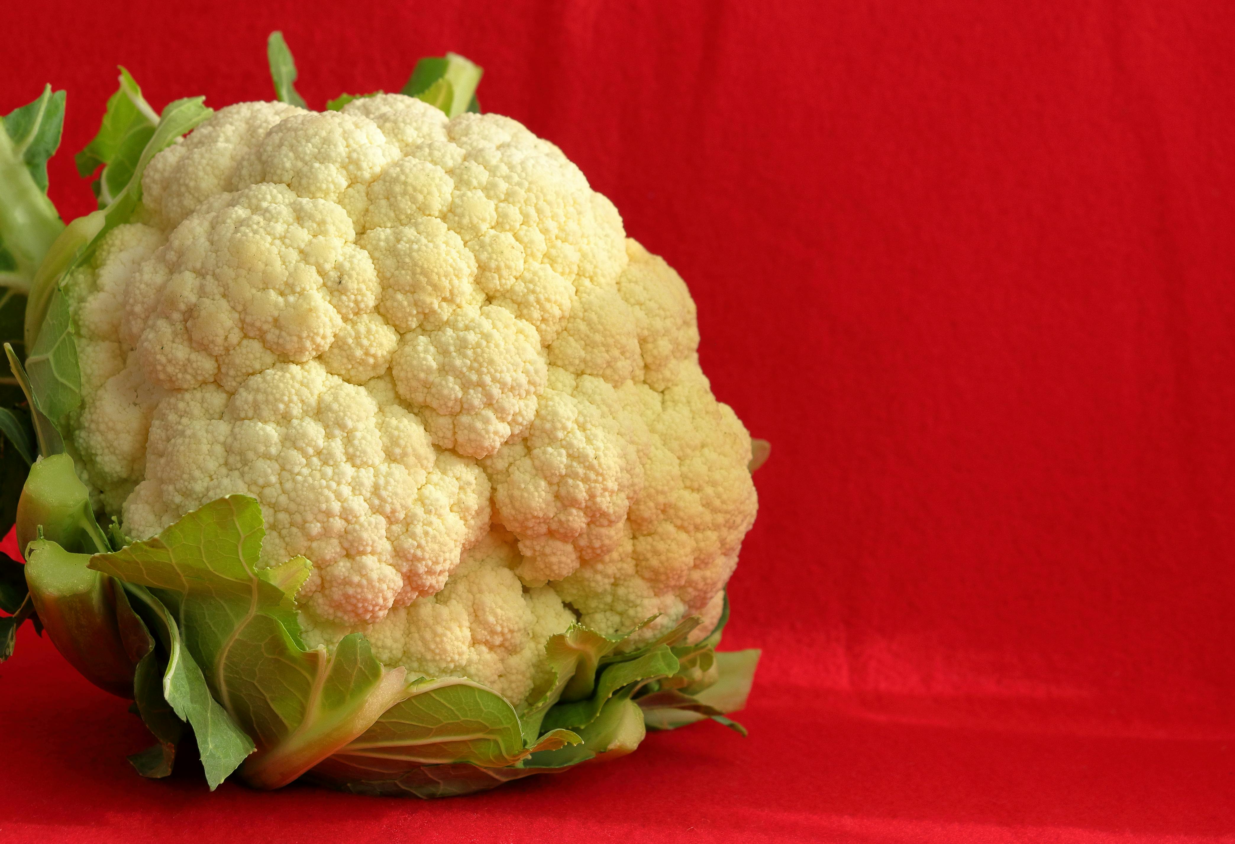 Cauliflower Harvesting Photos, Download The BEST Free Cauliflower ...