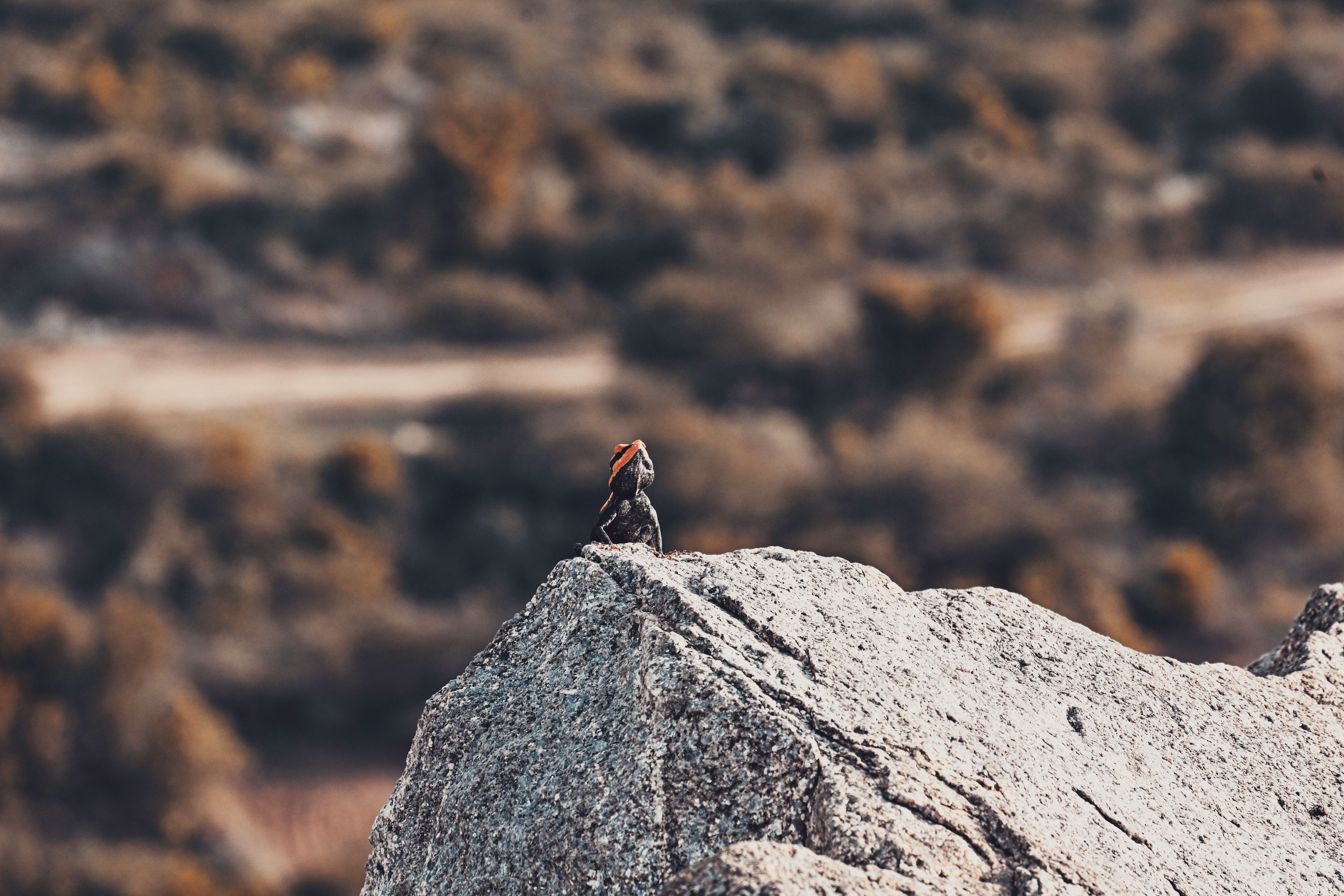 Boulder Rock Photos, Download The BEST Free Boulder Rock Stock Photos ...