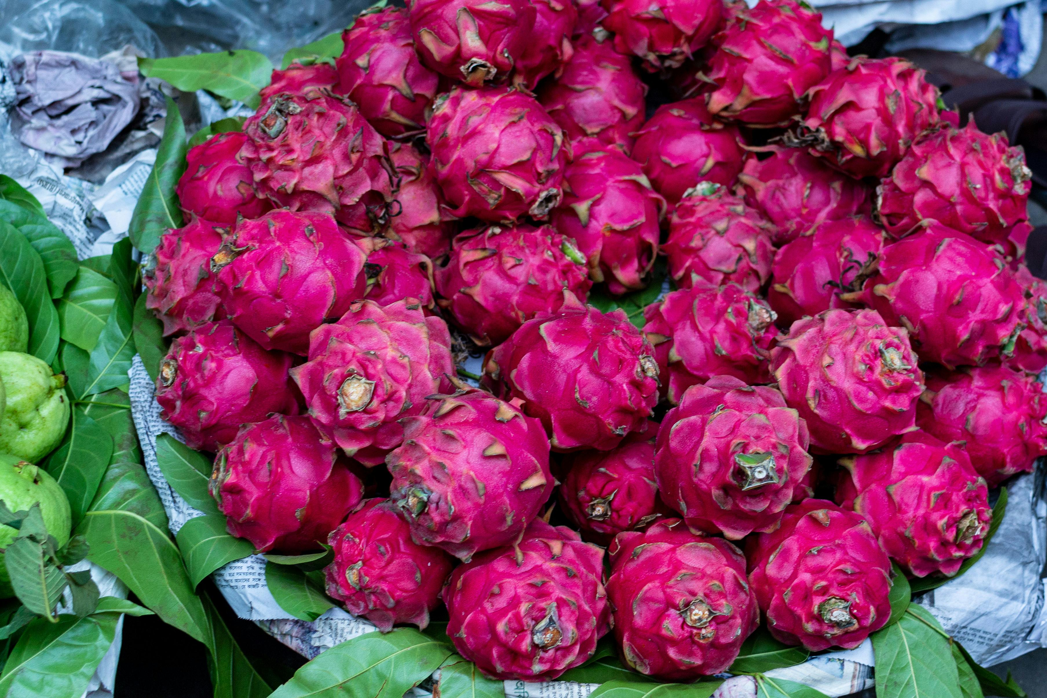 Close Up Ad Bangladesh Photos, Download The BEST Free Close Up Ad ...