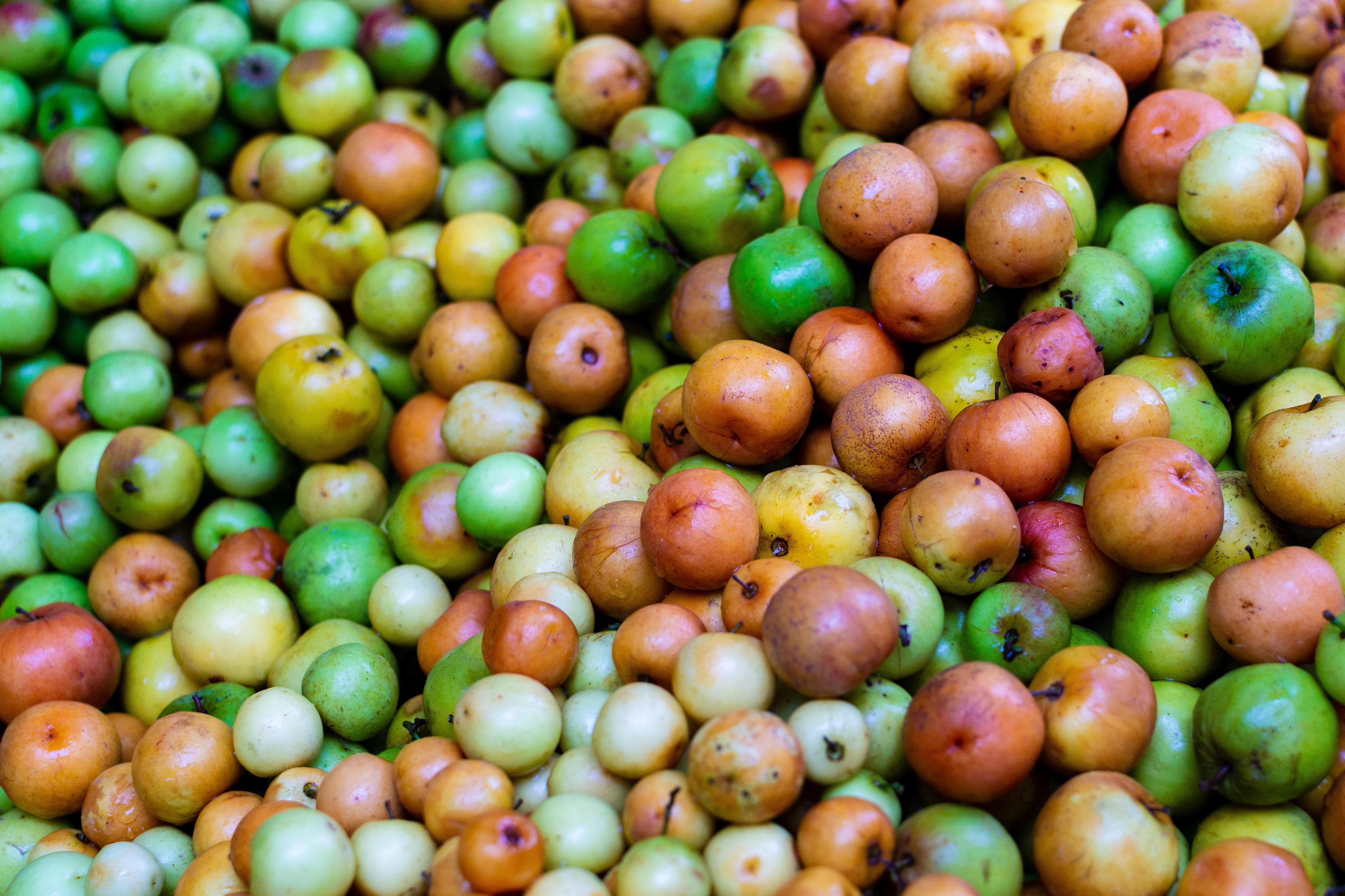 Vibrant Display of Fresh Boroi in Dhaka Market · Free Stock Photo