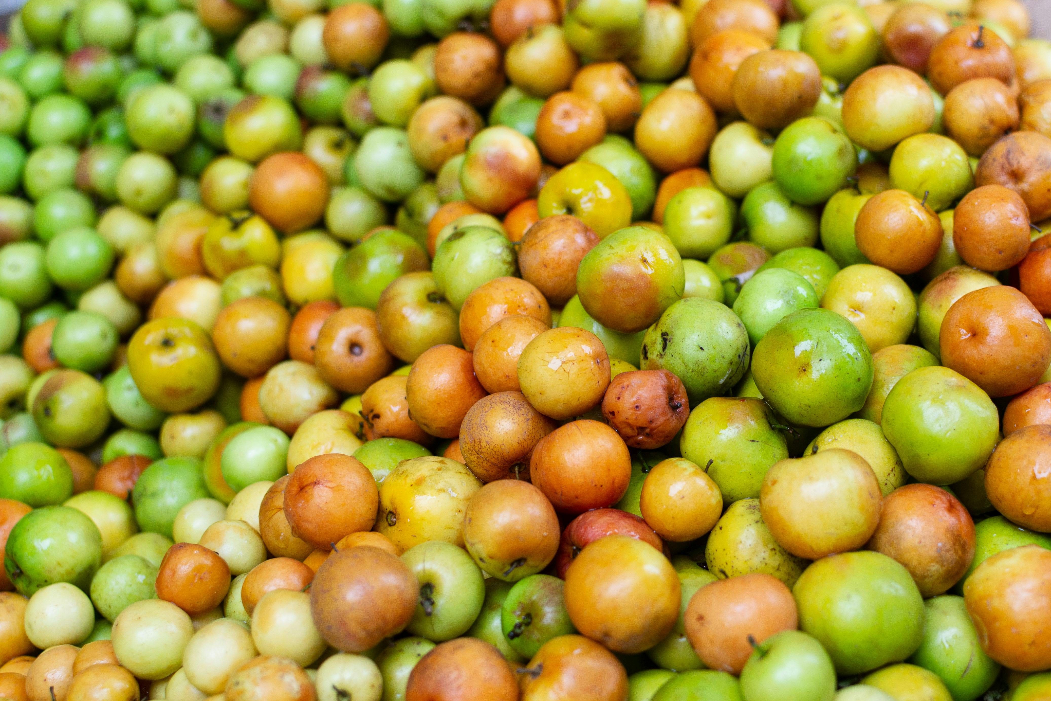 Fresh Boroi Fruits on Display in Dhaka · Free Stock Photo