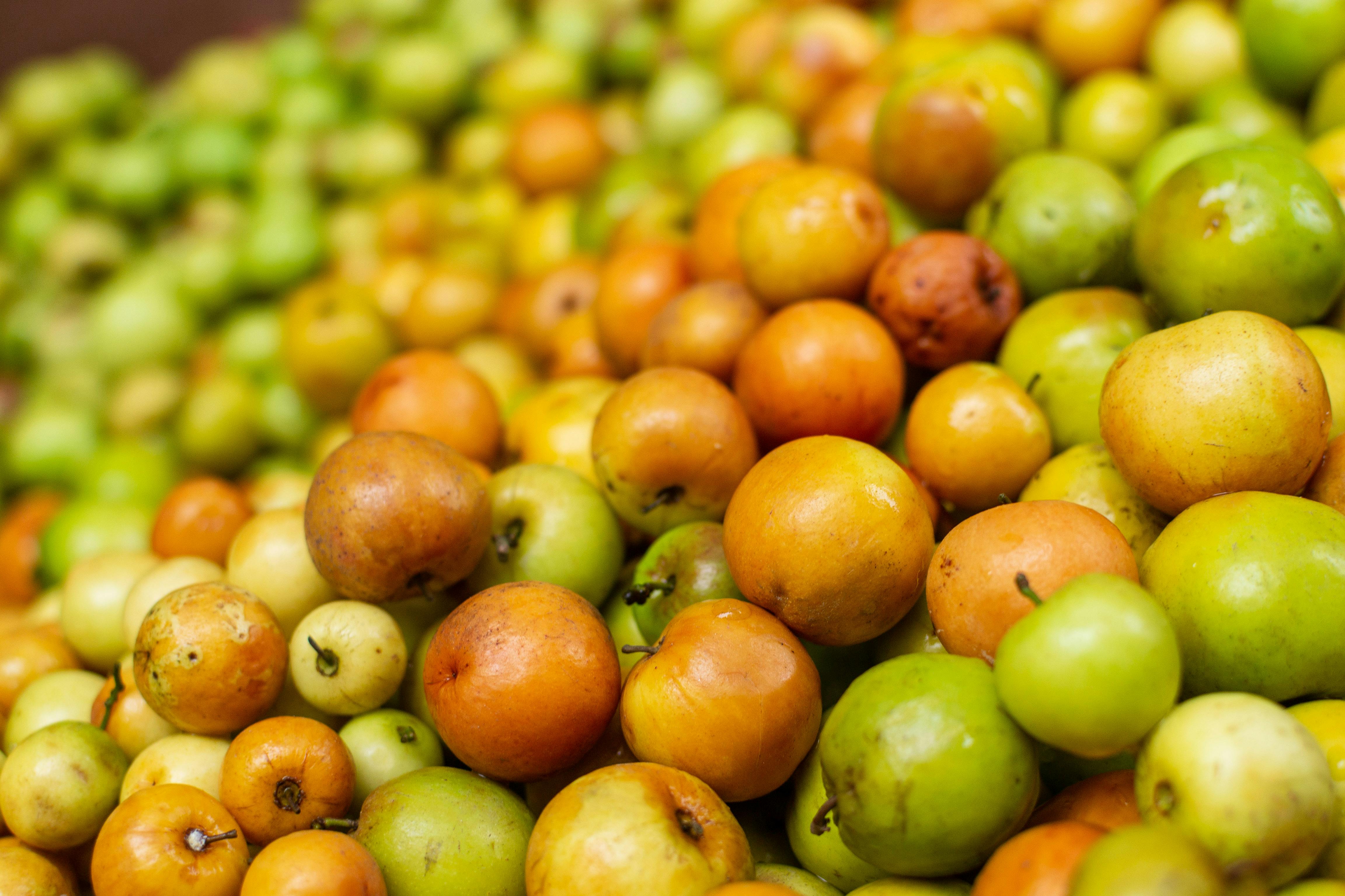 Vibrant Fruit Market in Dhaka, Bangladesh · Free Stock Photo
