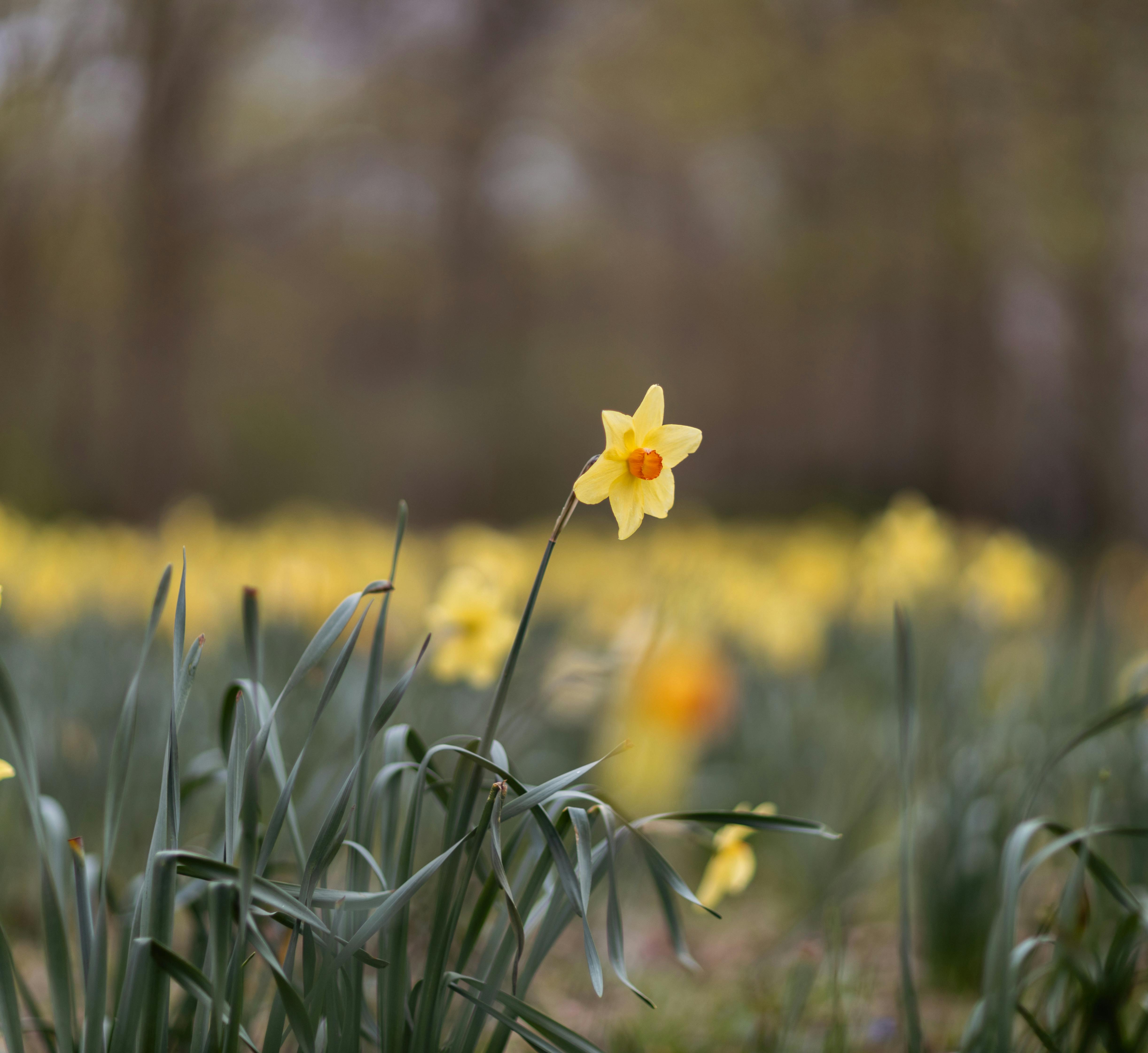 Barish Background Photos, Download The BEST Free Barish Background ...
