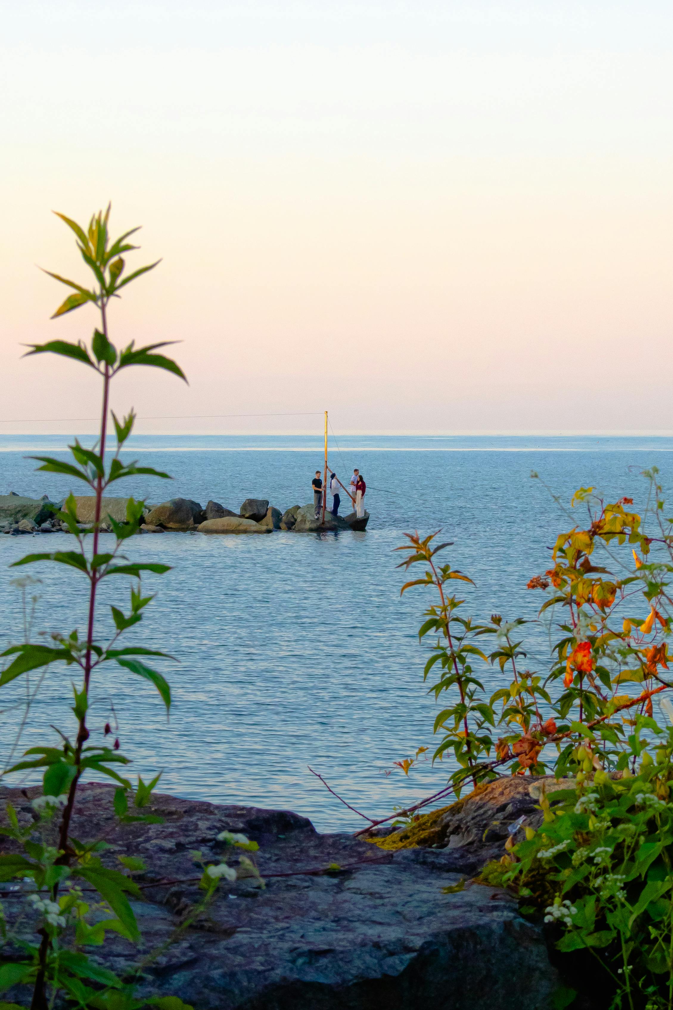 Yellow Relax Photos, Download The BEST Free Yellow Relax Stock Photos ...