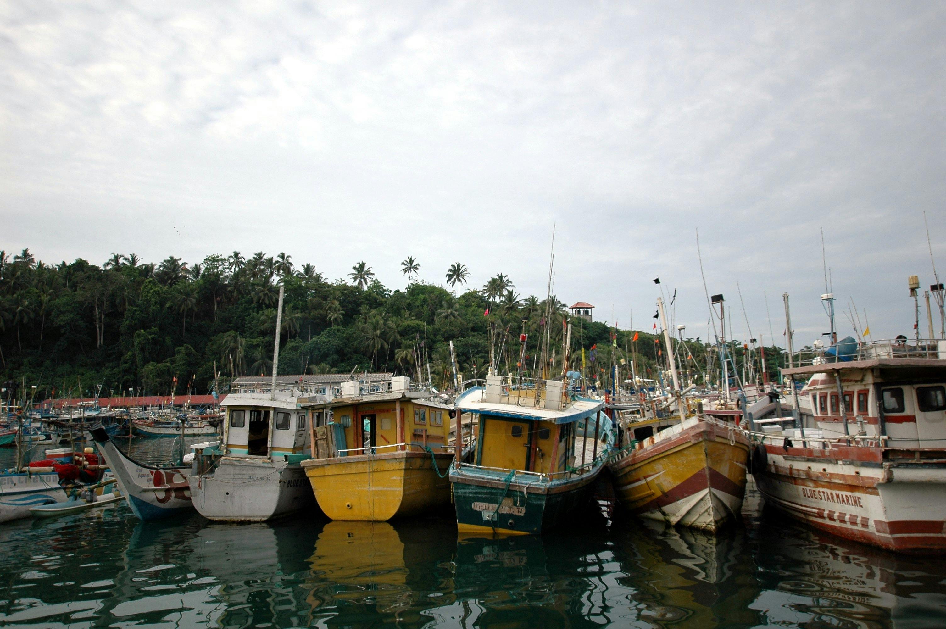 Sri+Lankan+Dansal Photos, Download The BEST Free Sri+Lankan+Dansal ...