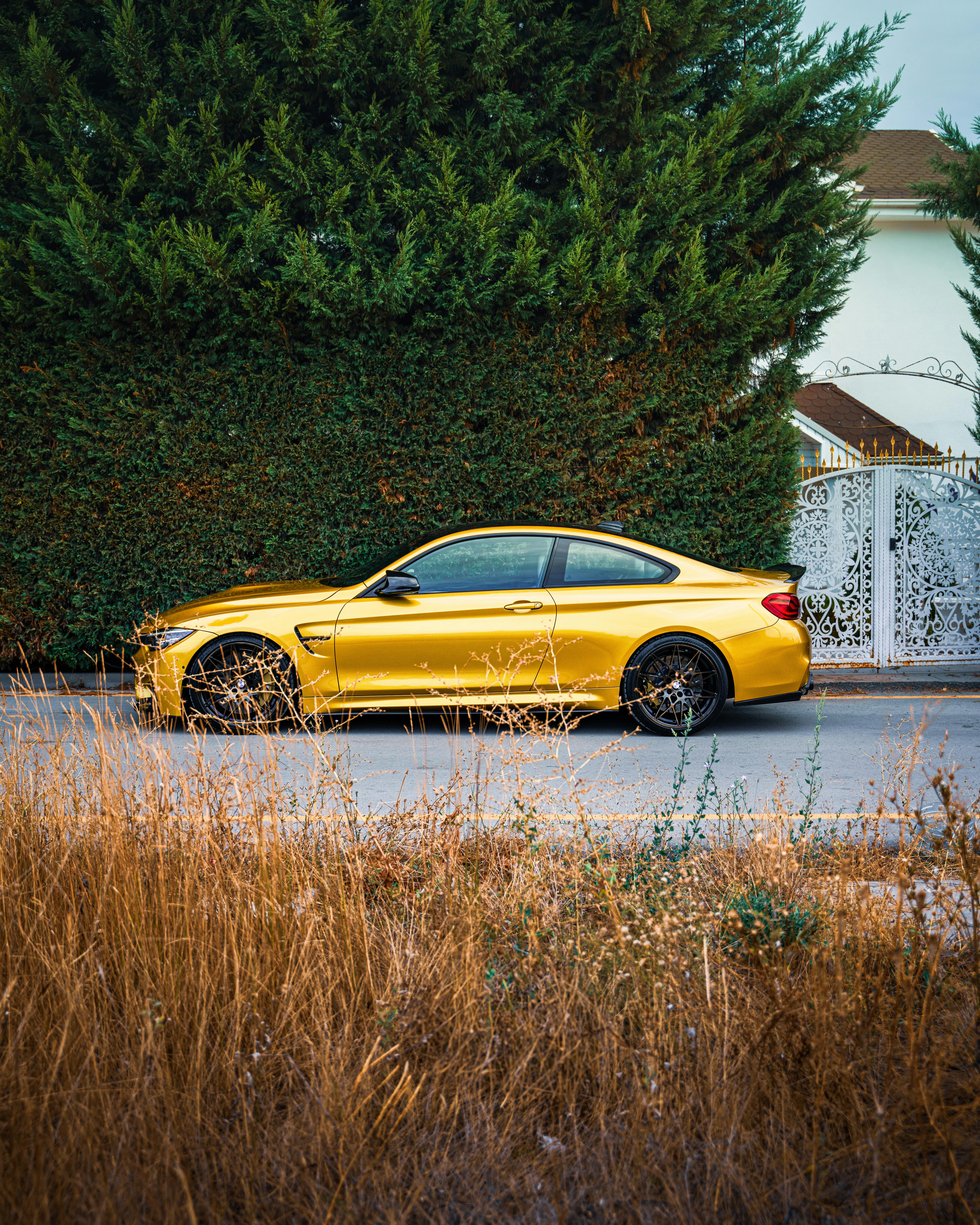 Chikawa电脑壁纸4k Photos, Download The BEST Free Chikawa电脑壁纸4k Stock Photos ...