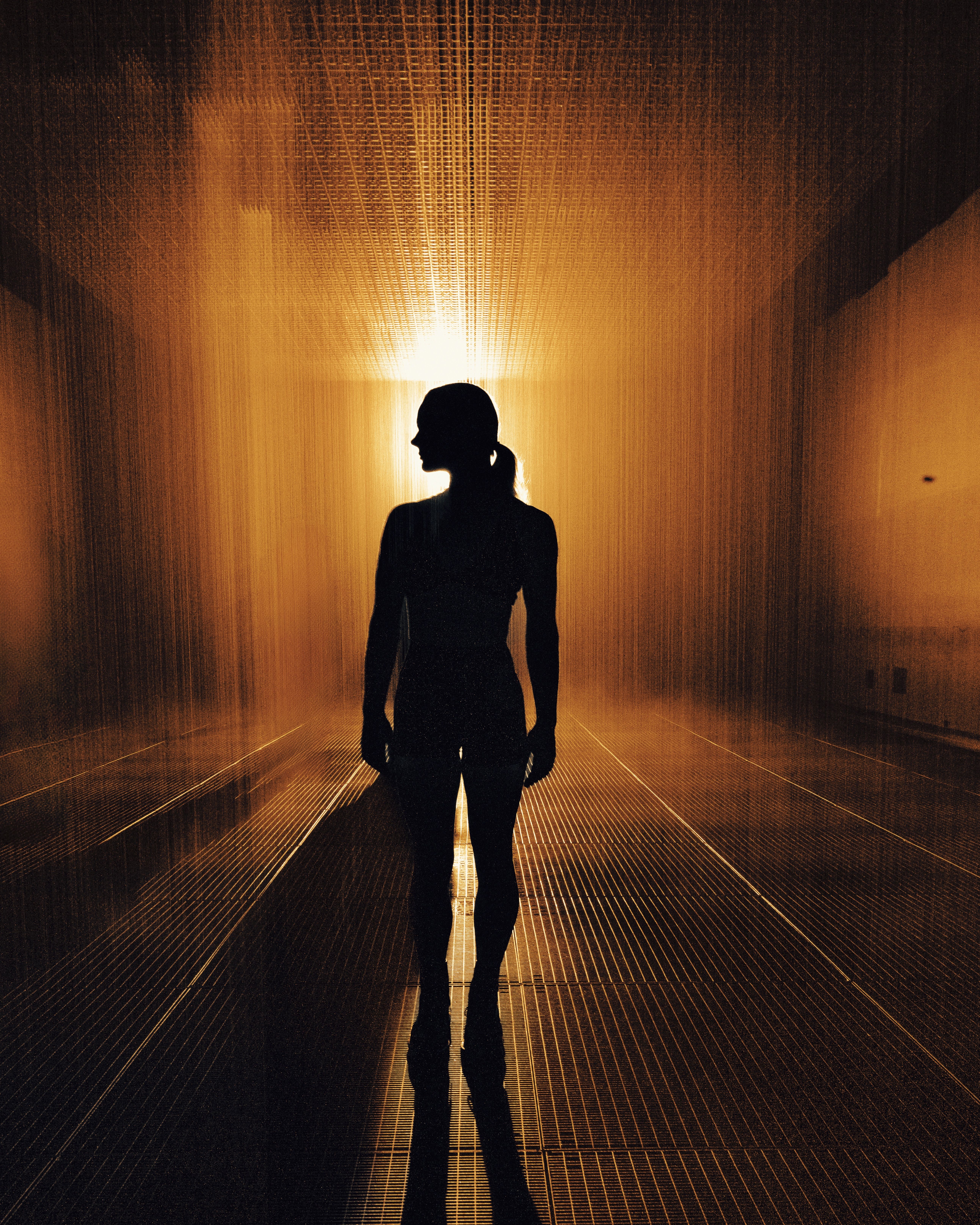 Silhouette of Woman in Dramatic Lighting · Free Stock Photo