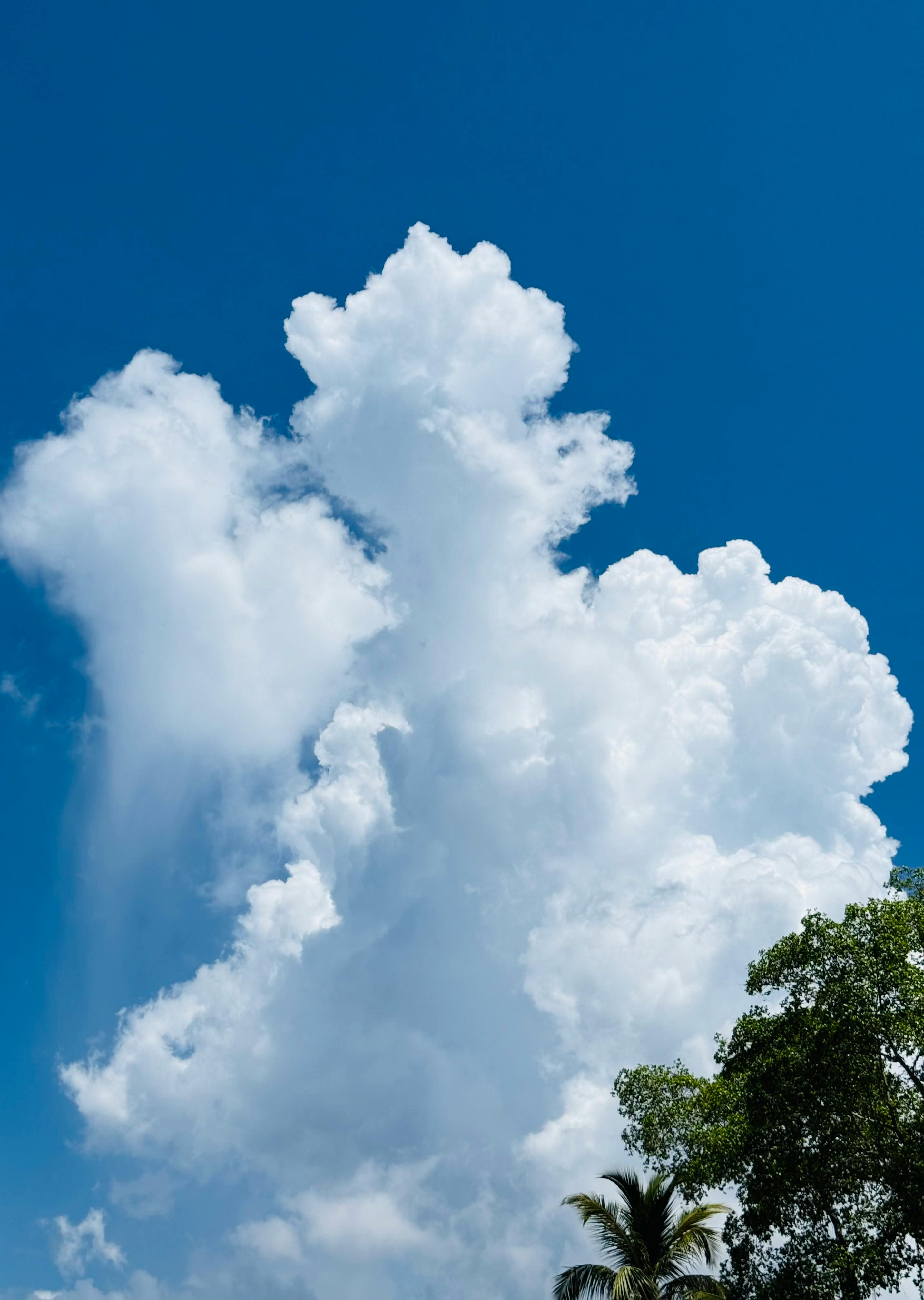 Cloudy Weather Forcast Photos, Download The BEST Free Cloudy Weather ...