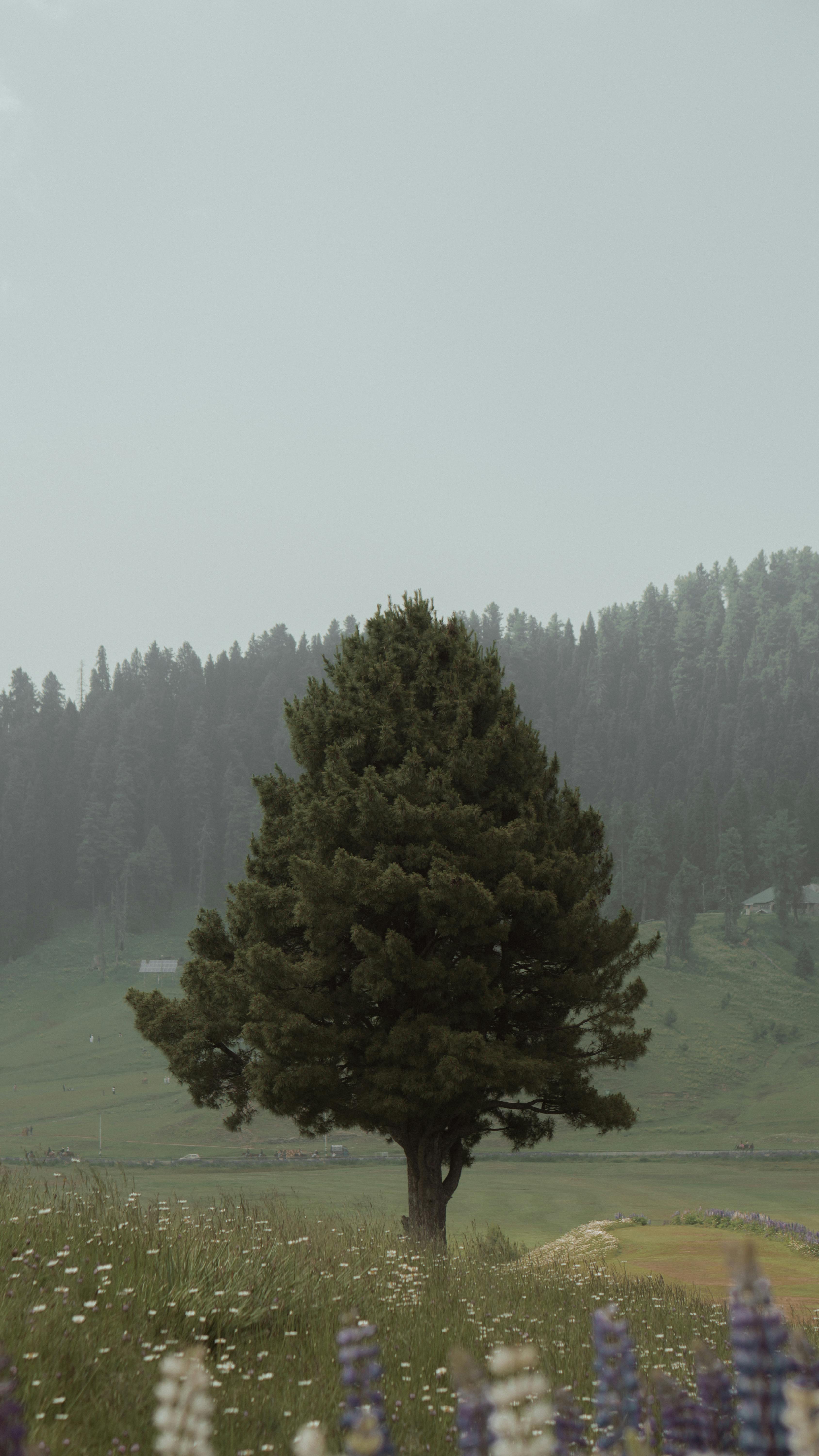 100.000+ Scroller+girls+small+size+hd Bilder und Fotos · Kostenlos ...