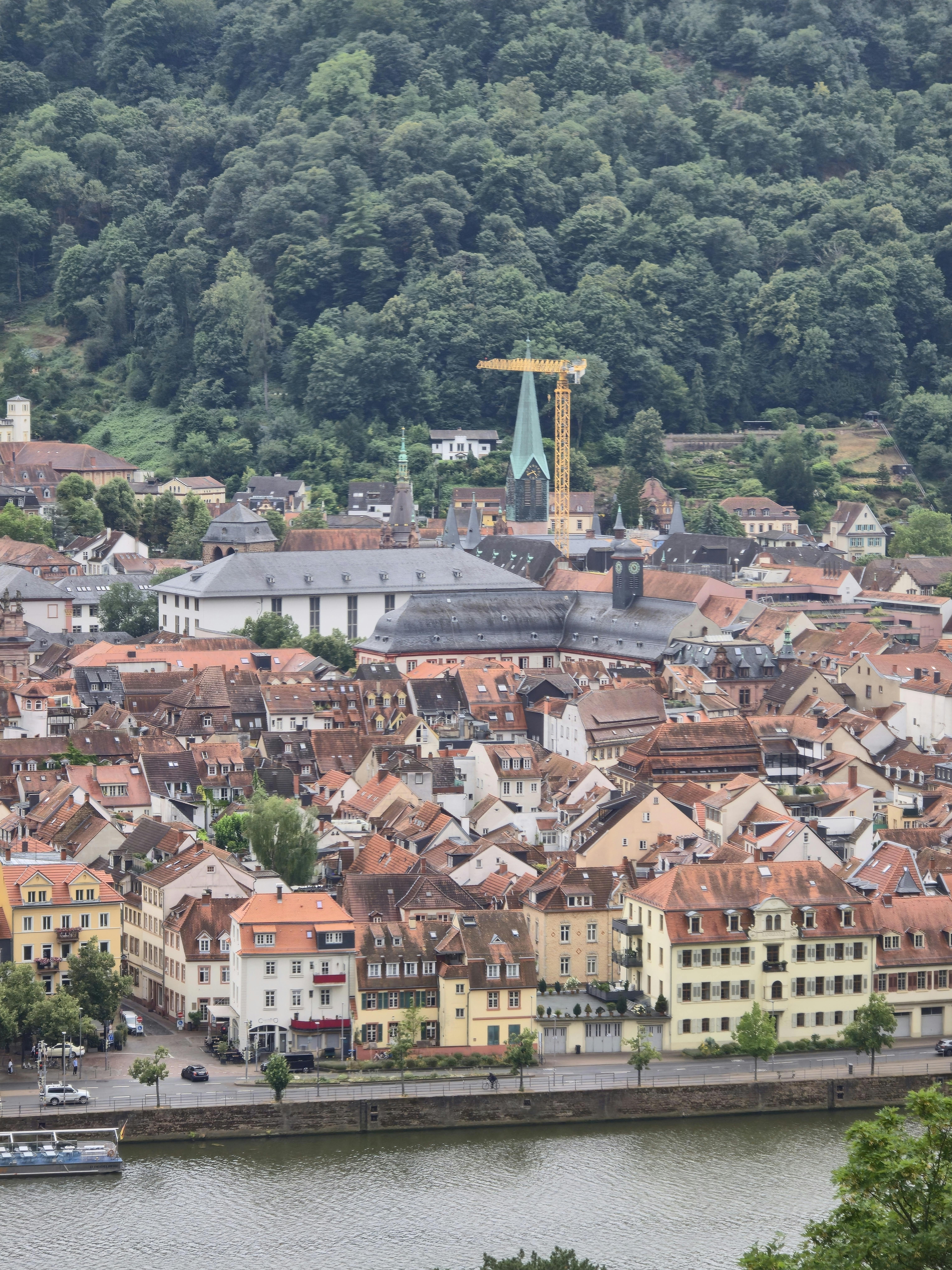 Scenic View of Heidelberg Old Town Roofs · Free Stock Photo