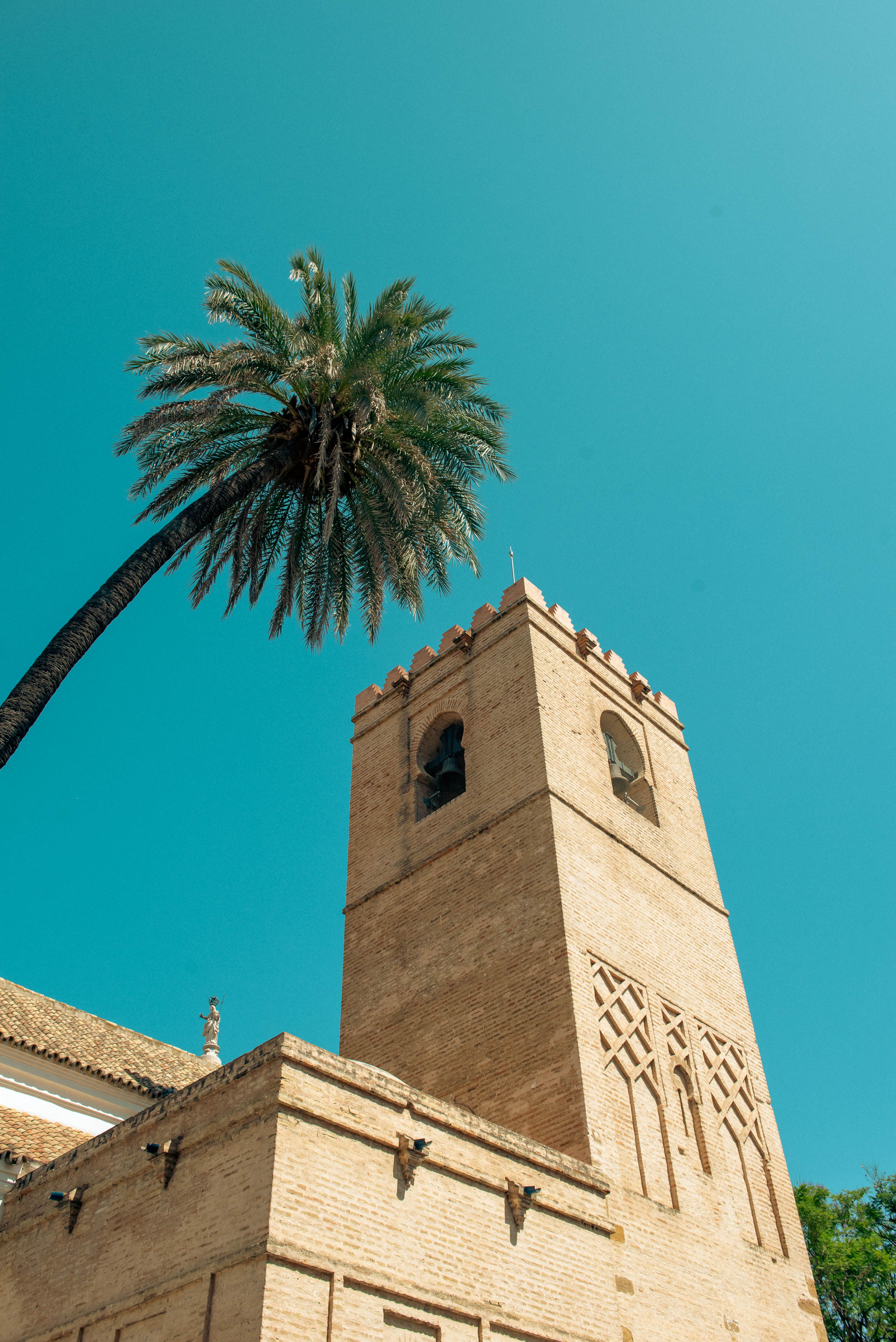 Historic Bell Tower with Palm Tree in Sunny Sky · Free Stock Photo