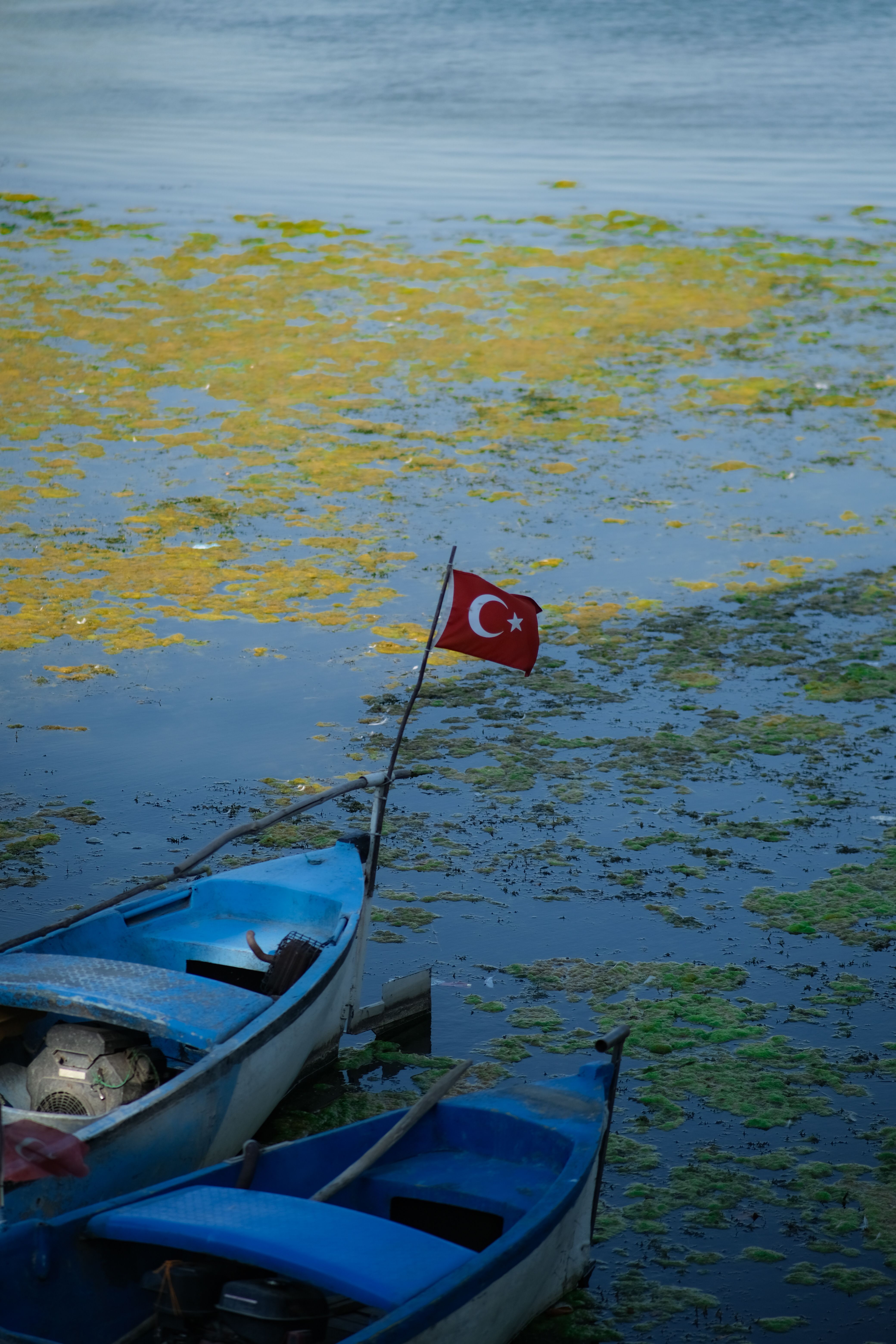 Floating Flag Photos, Download The BEST Free Floating Flag Stock Photos ...