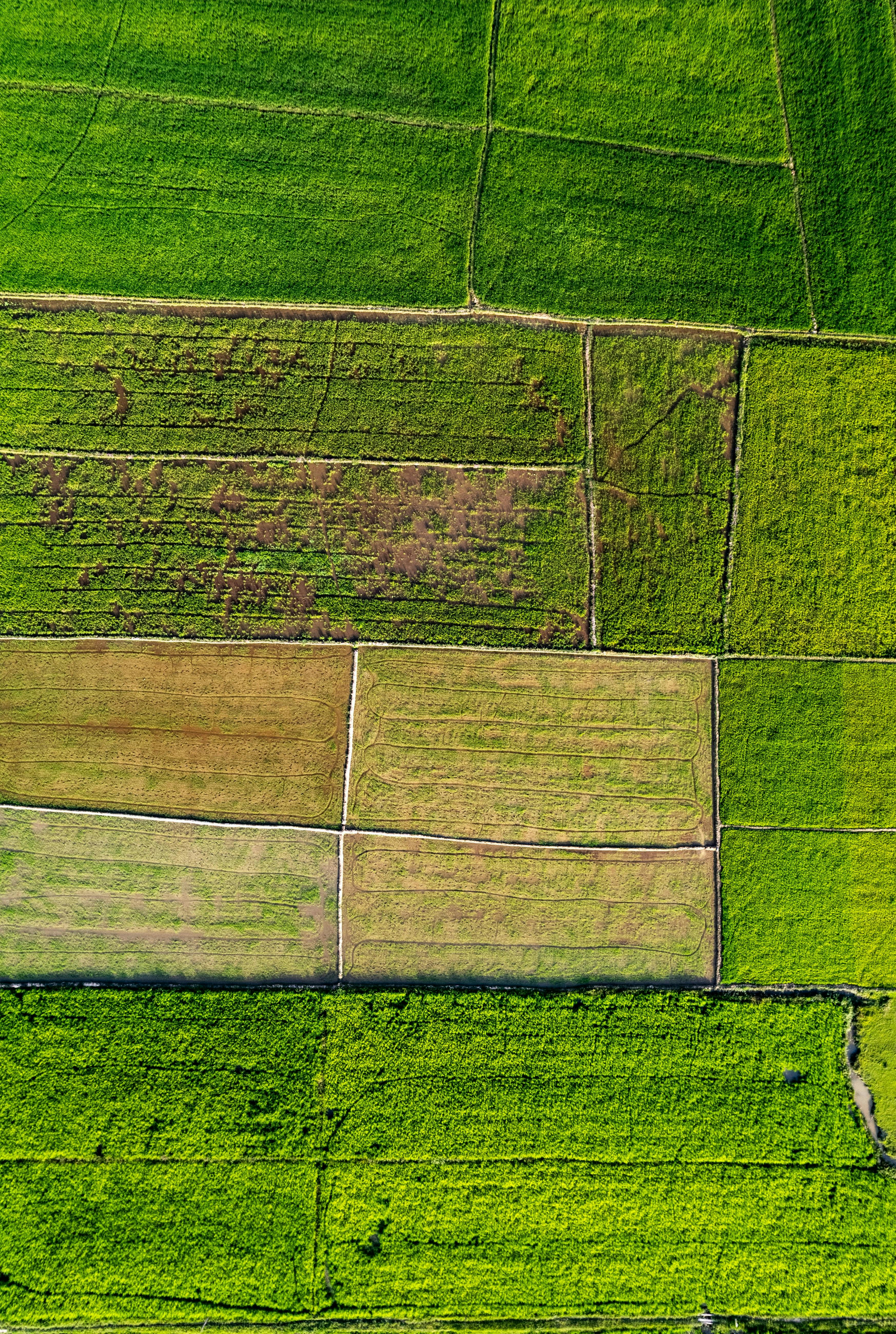 Unsplash壁纸 Photos, Download The BEST Free Unsplash壁纸 Stock Photos & HD ...