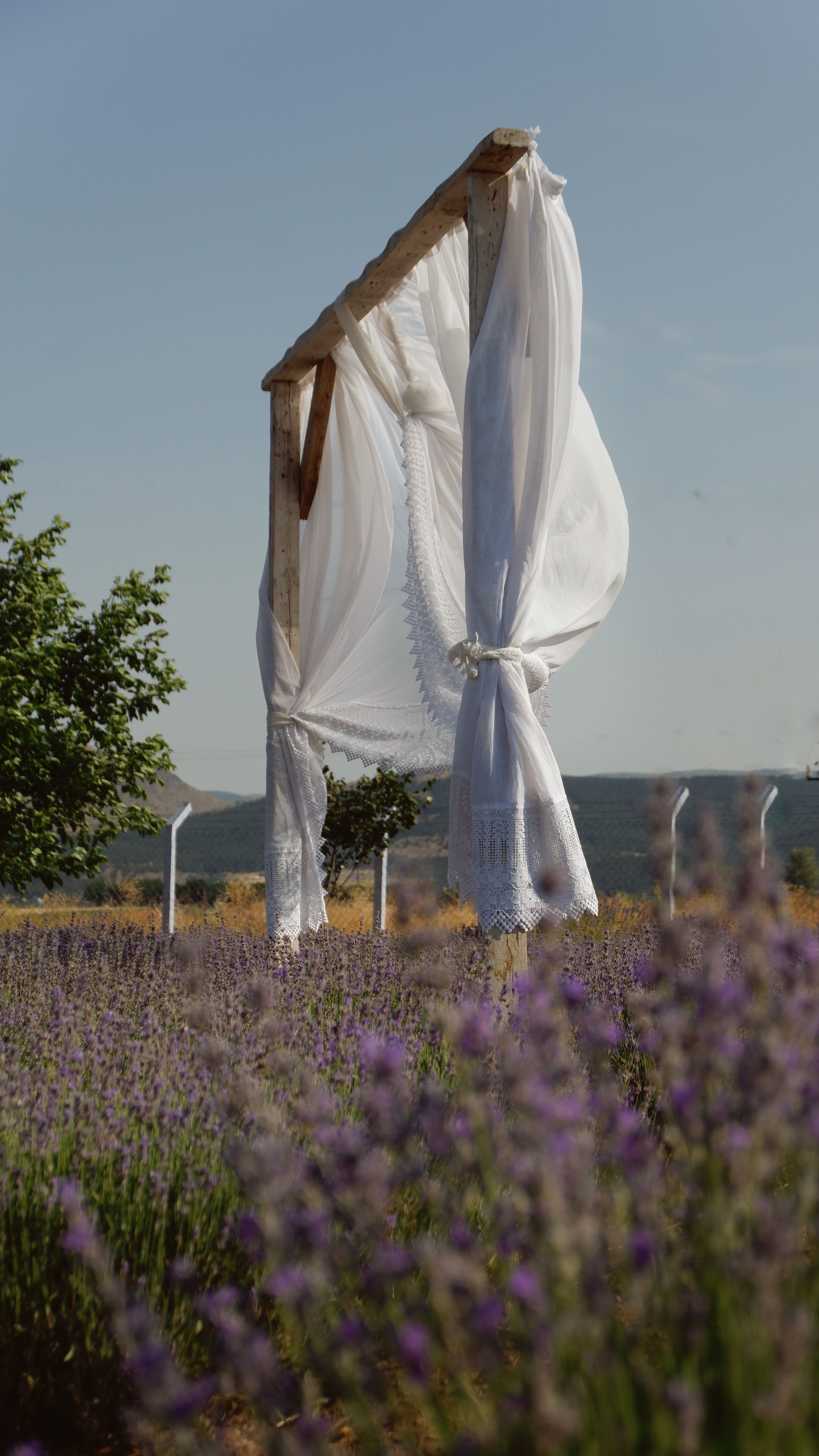 Rustic Wedding Arch in Lavender Field · Free Stock Photo