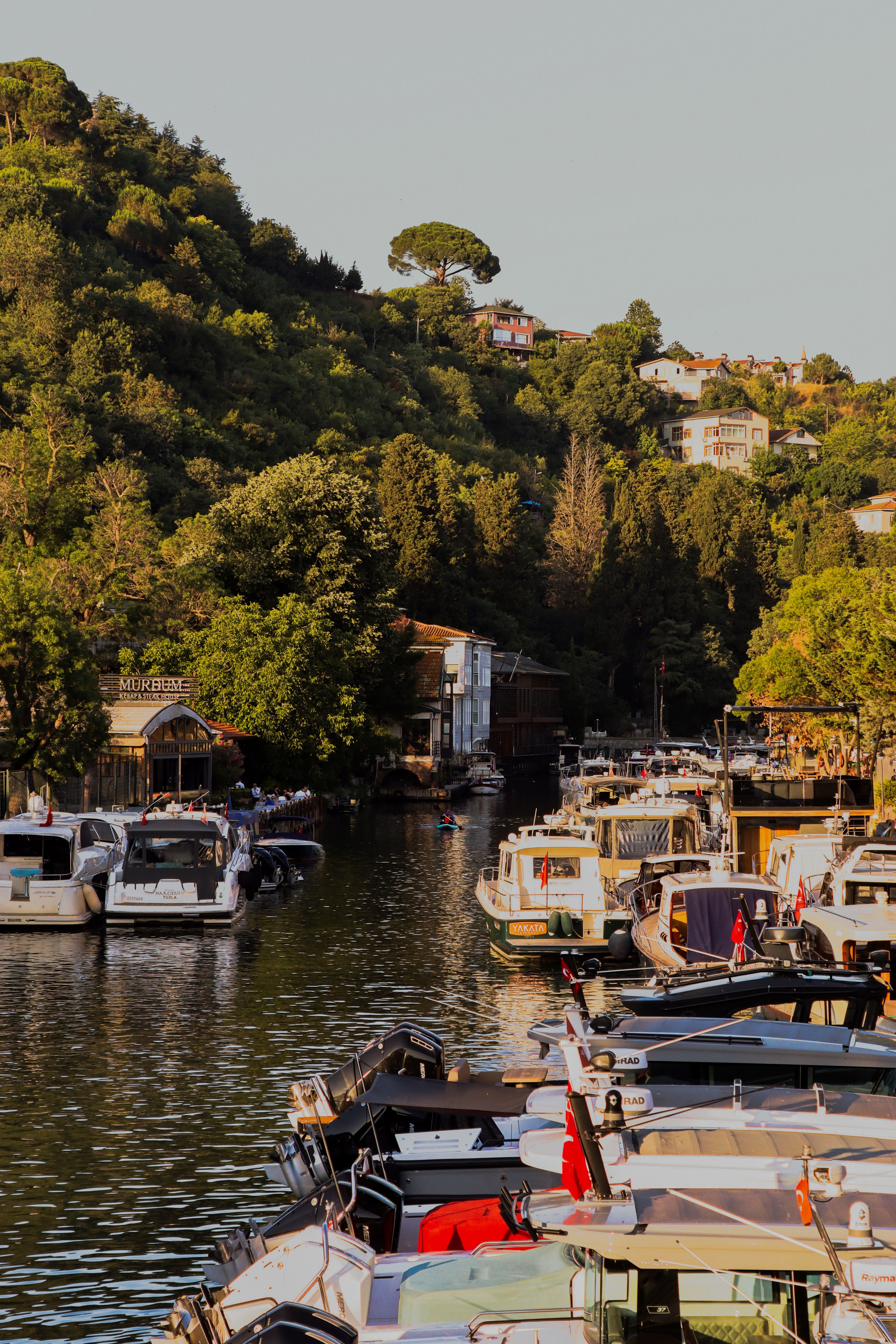 Scenic Riverside with Boats and Lush Hillside · Free Stock Photo