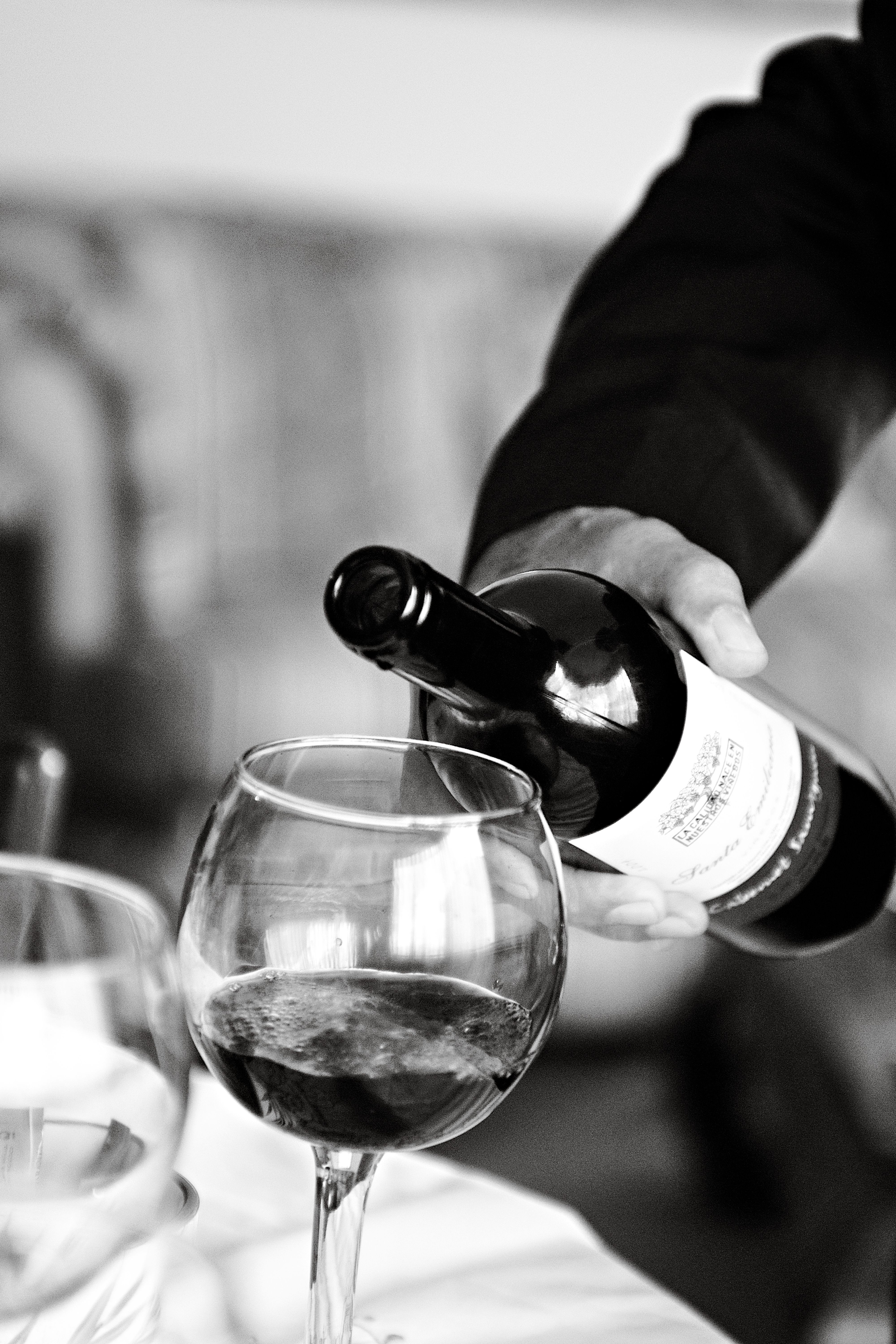 Italian Wine Photos, Download The BEST Free Italian Wine Stock Photos ...