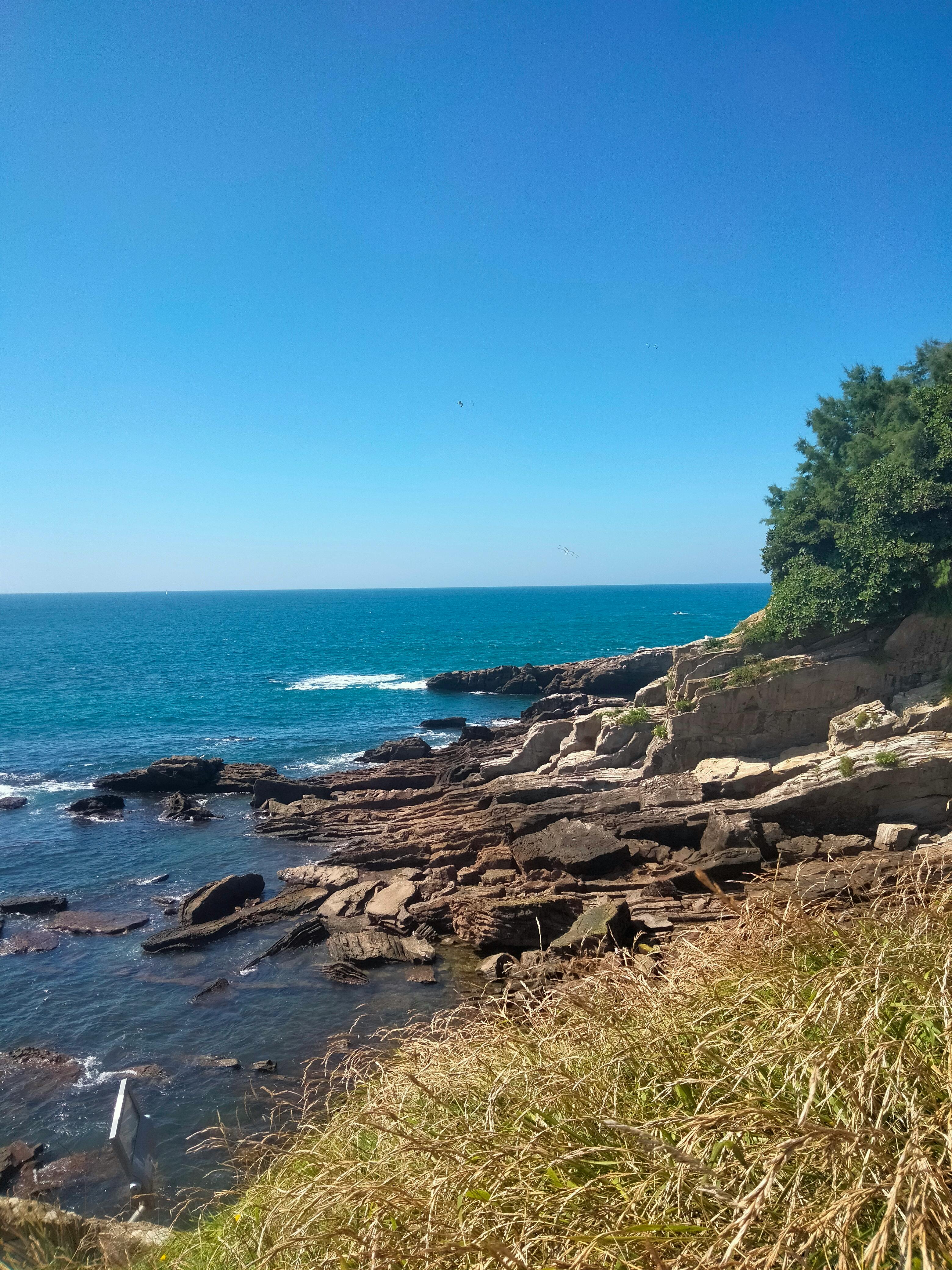 Temp Photo Photos, Download The BEST Free Temp Photo Stock Photos & HD ...