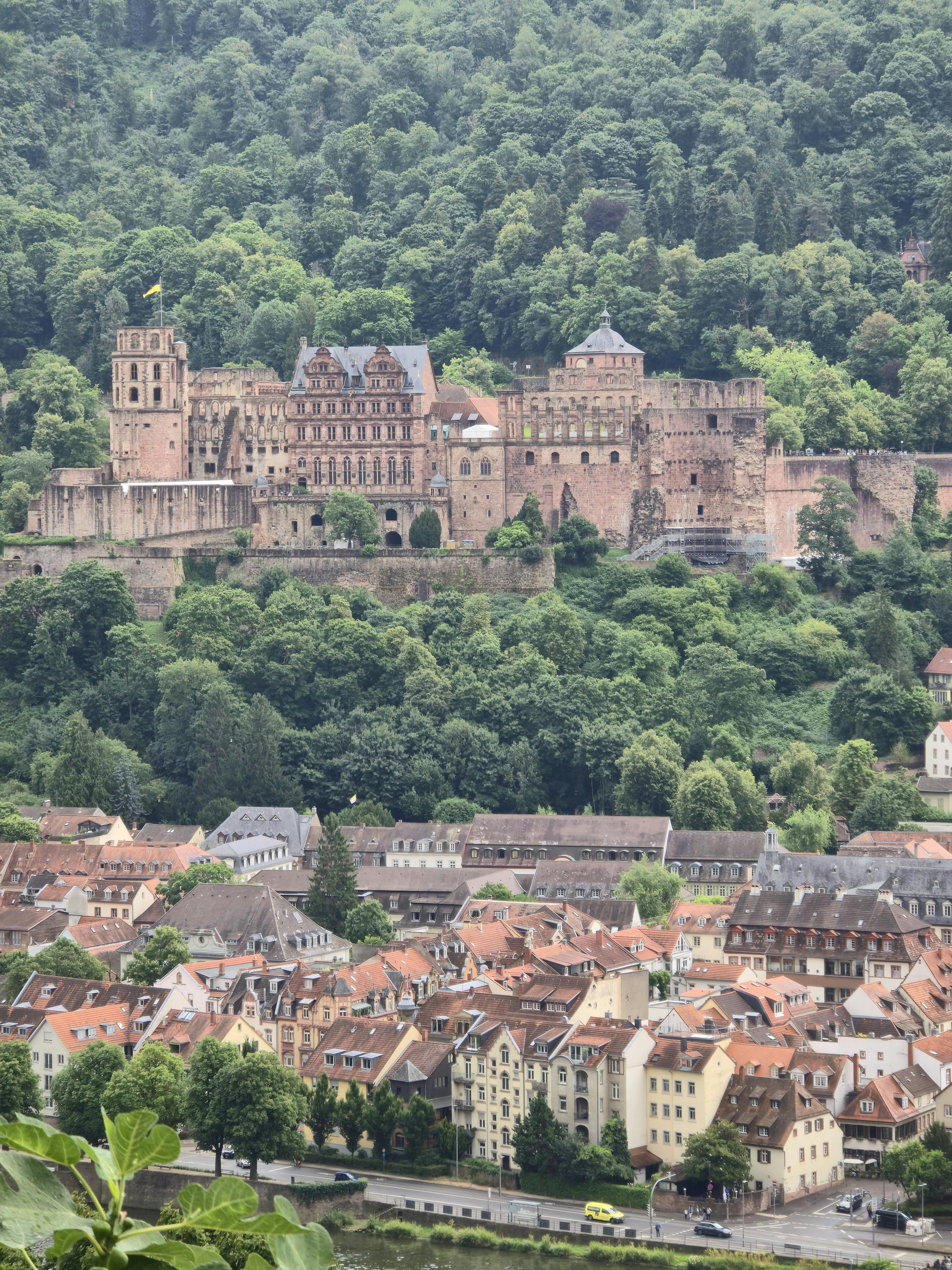 Castillo De Heidelberg Con Vistas A La Ciudad Histórica · Foto de stock gratuita