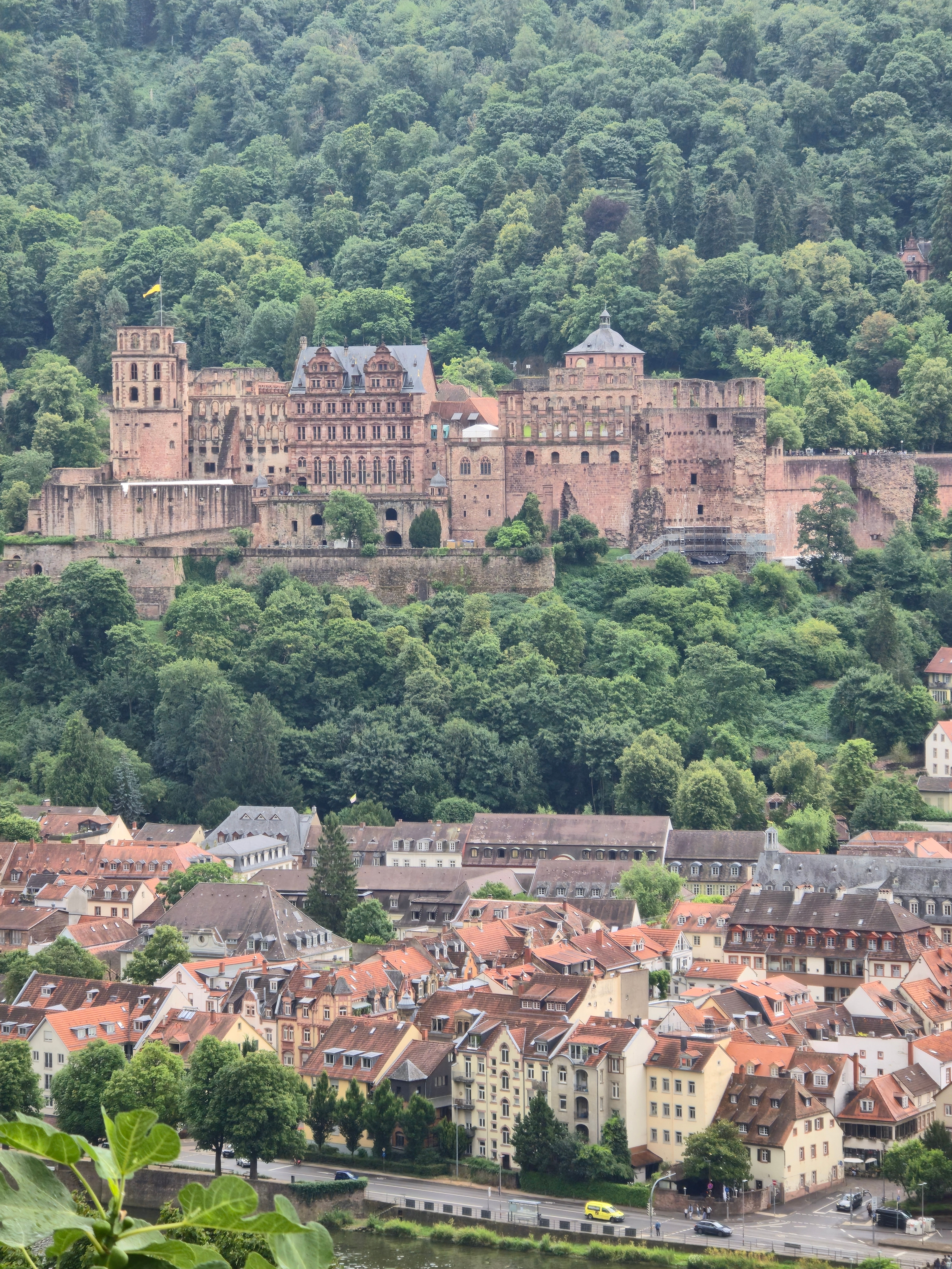 Heidelberg Castle Overlooking Historic Town · Free Stock Photo