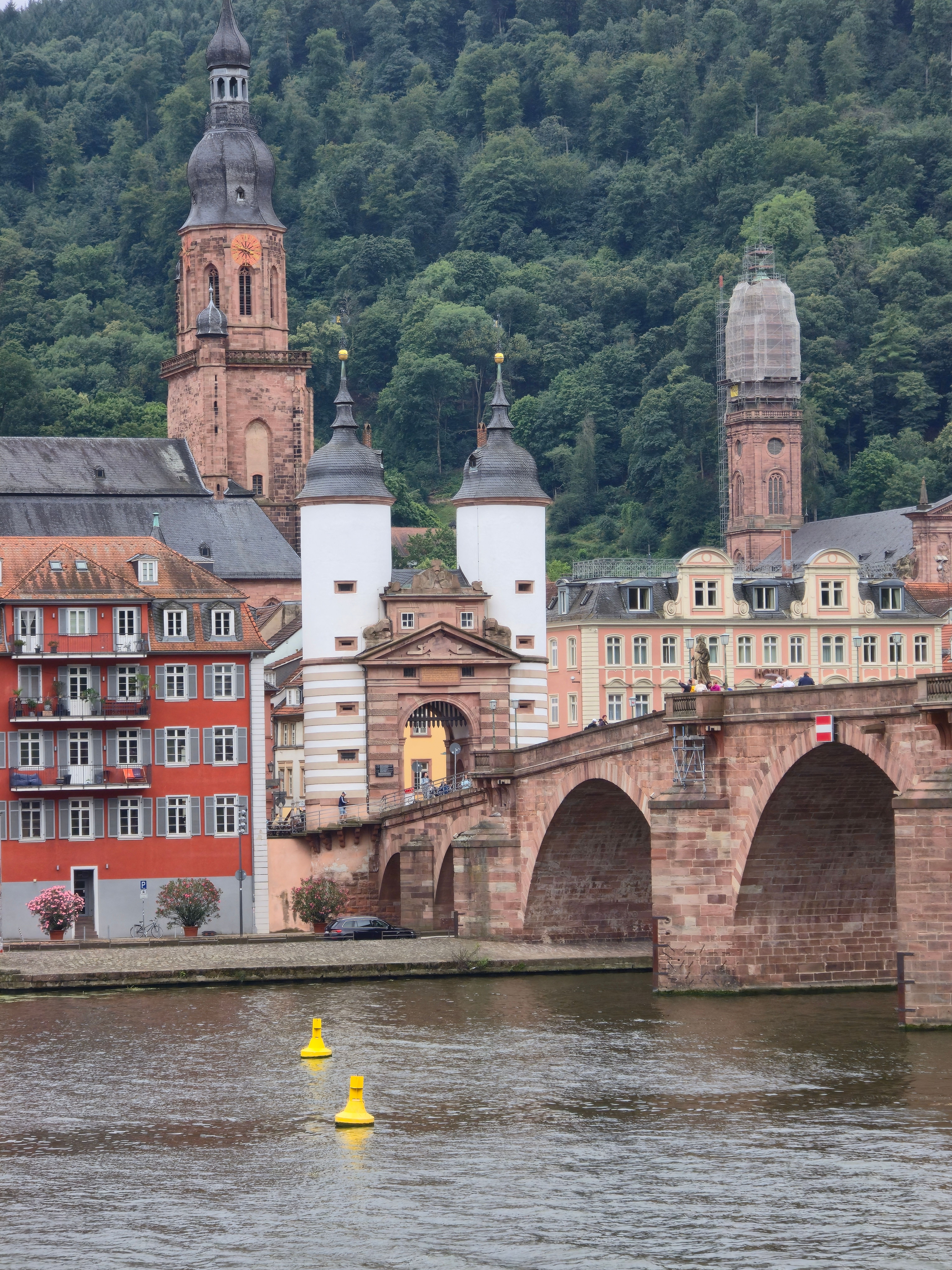 Heidelberg Old Bridge and Historic Architecture · Free Stock Photo