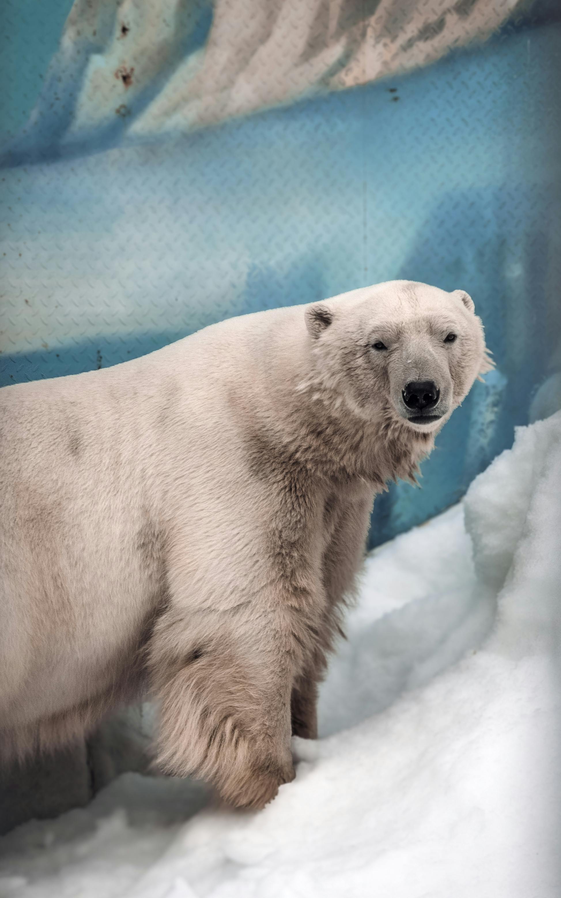 White Magik Photos, Download The BEST Free White Magik Stock Photos ...