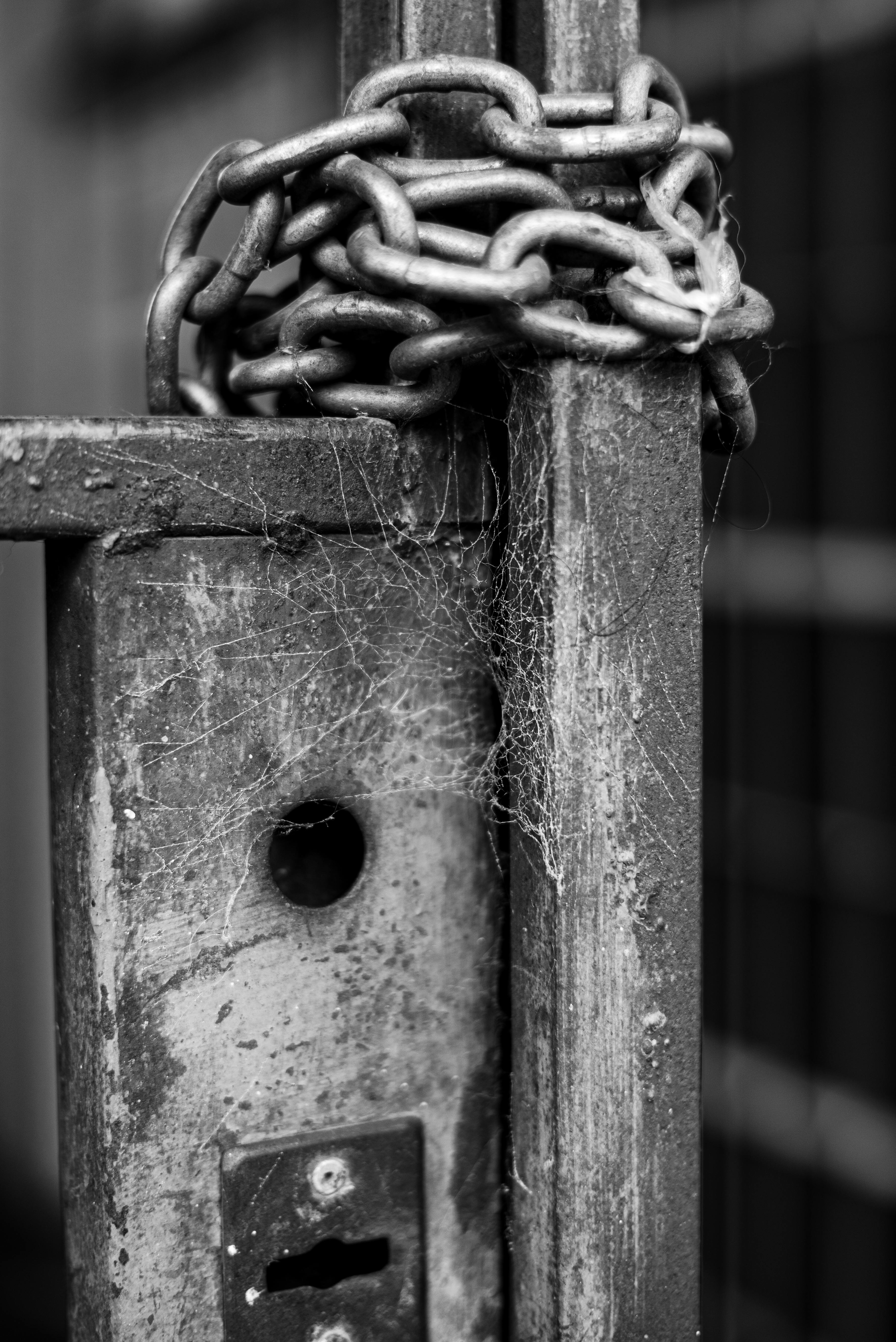 Rusty Chain and Lock on Urban Gate · Free Stock Photo