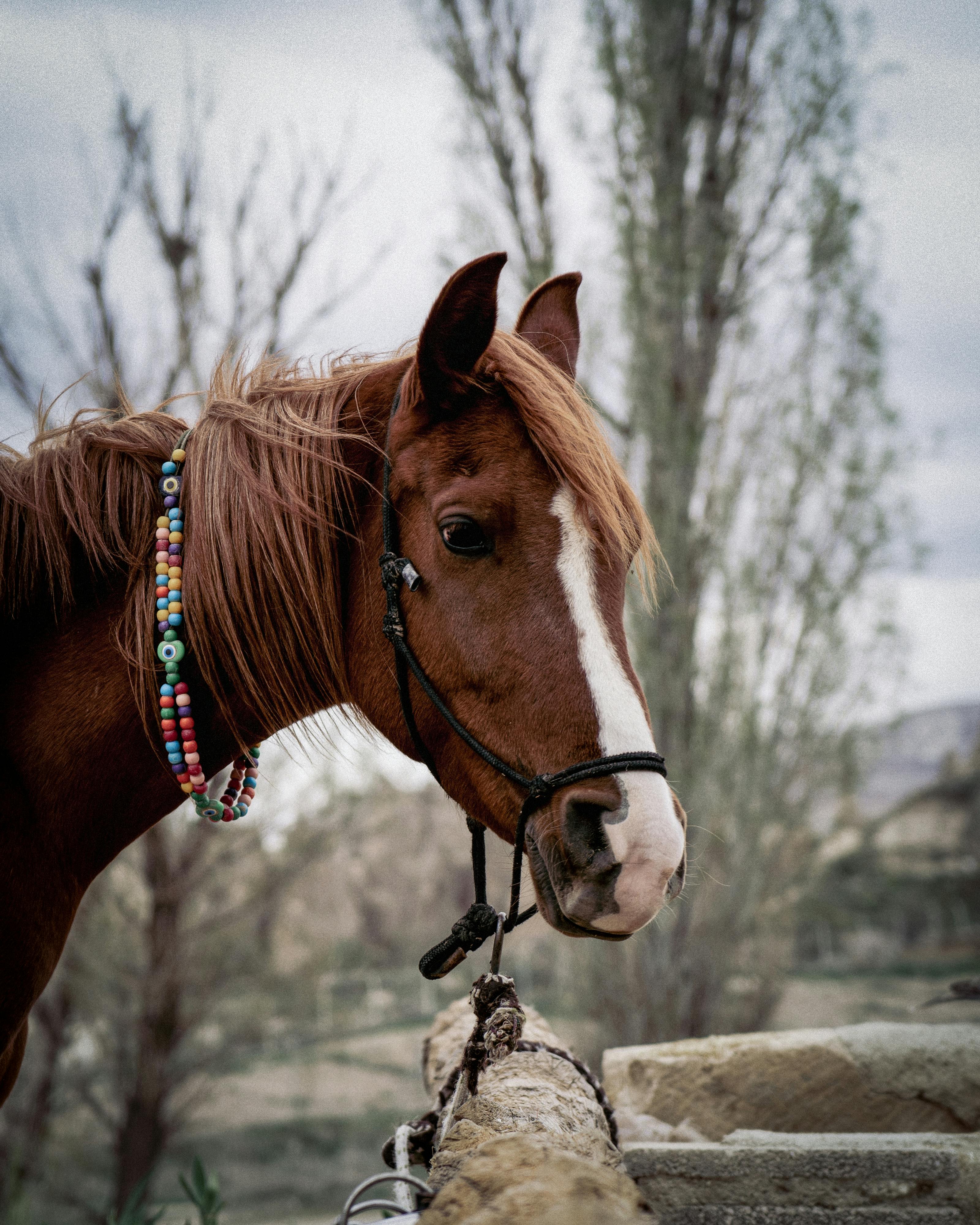 Ranch Photos, Download The BEST Free Ranch Stock Photos & HD Images