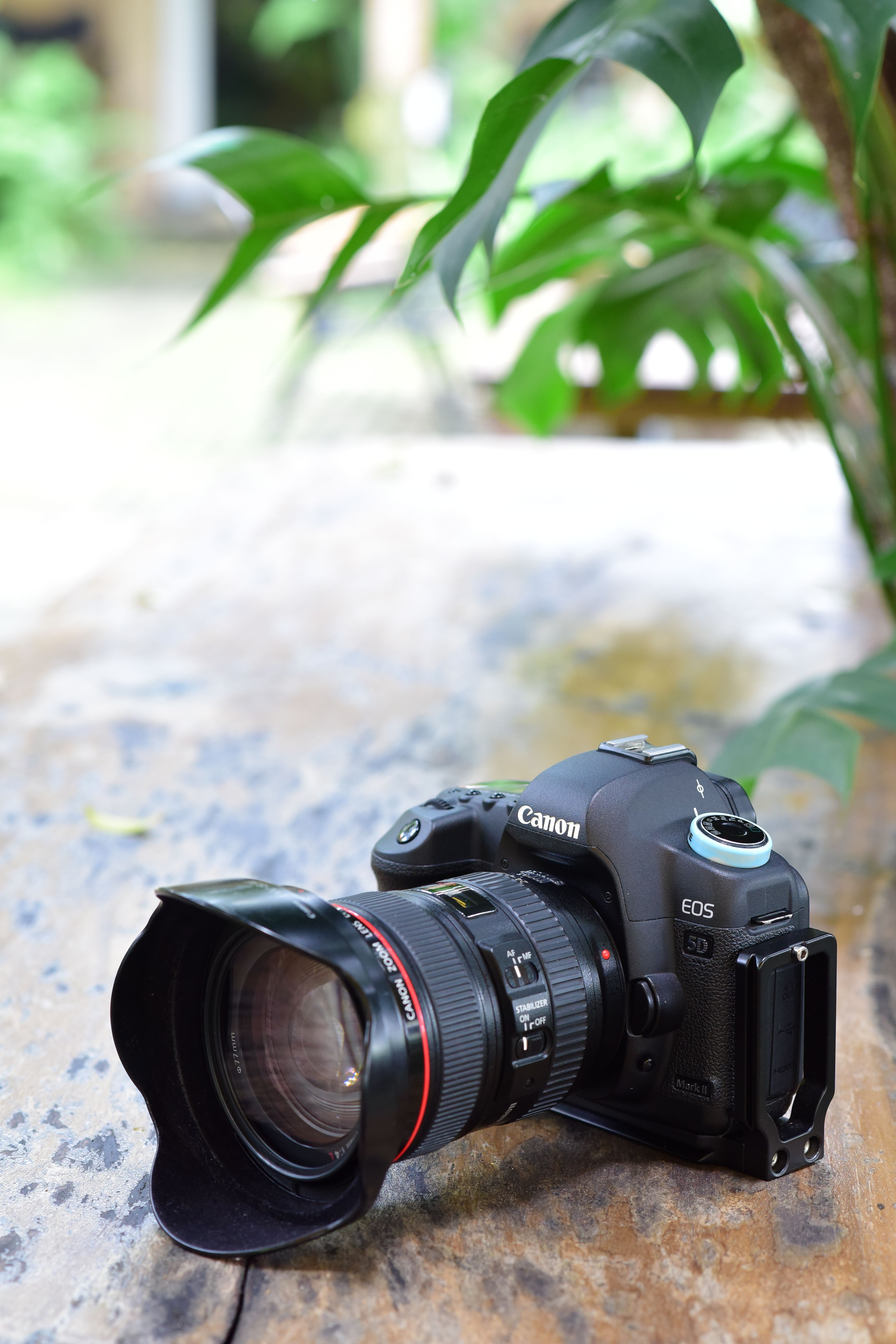 Professional DSLR Camera on Rustic Outdoor Table · Free Stock Photo