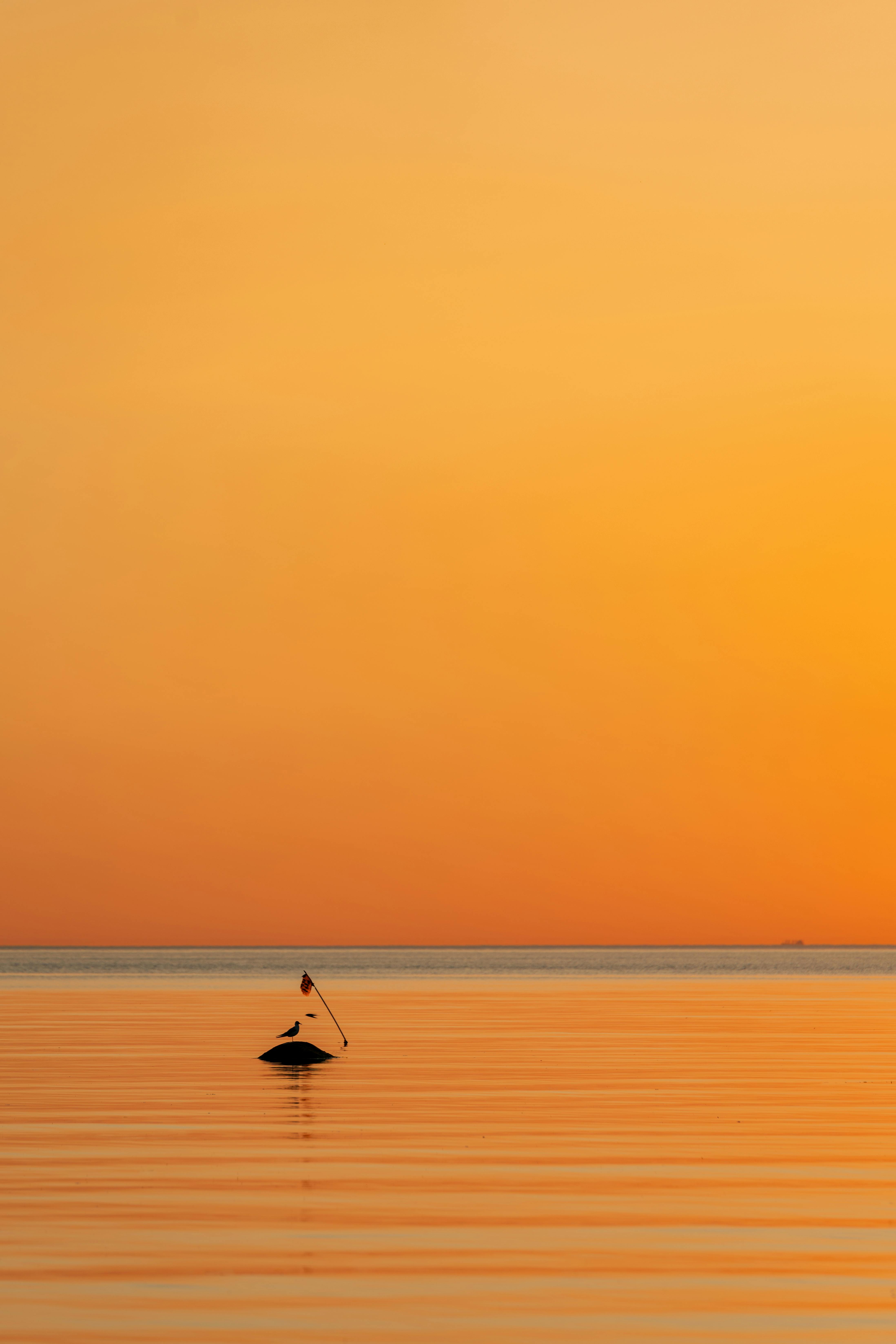 Techtok Wallpaper Photos, Download The BEST Free Techtok Wallpaper ...