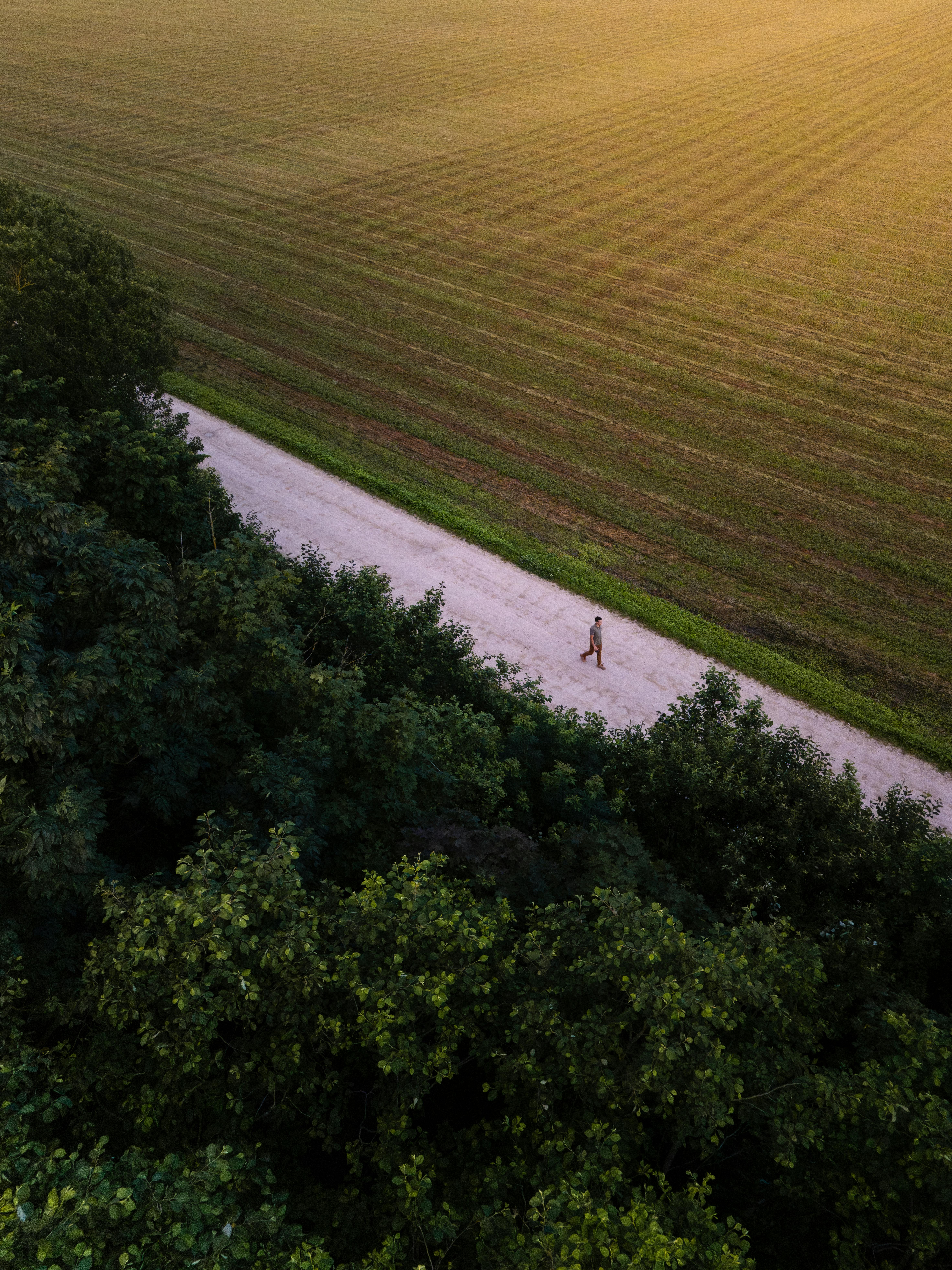 Aerial View of Walker on Rural Path at Sunset · Free Stock Photo