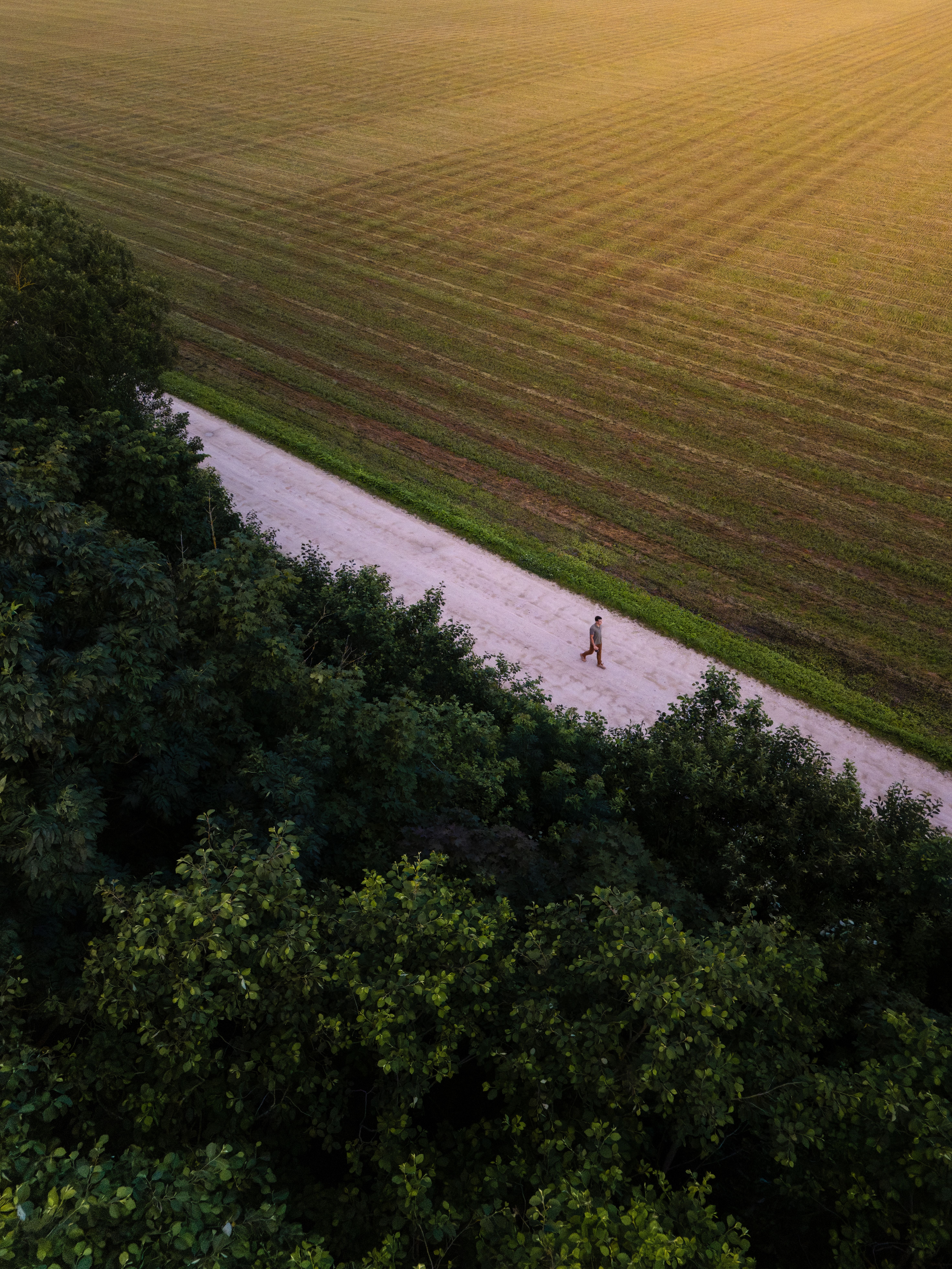 Aerial View of Walker on Rural Path at Sunset · Free Stock Photo
