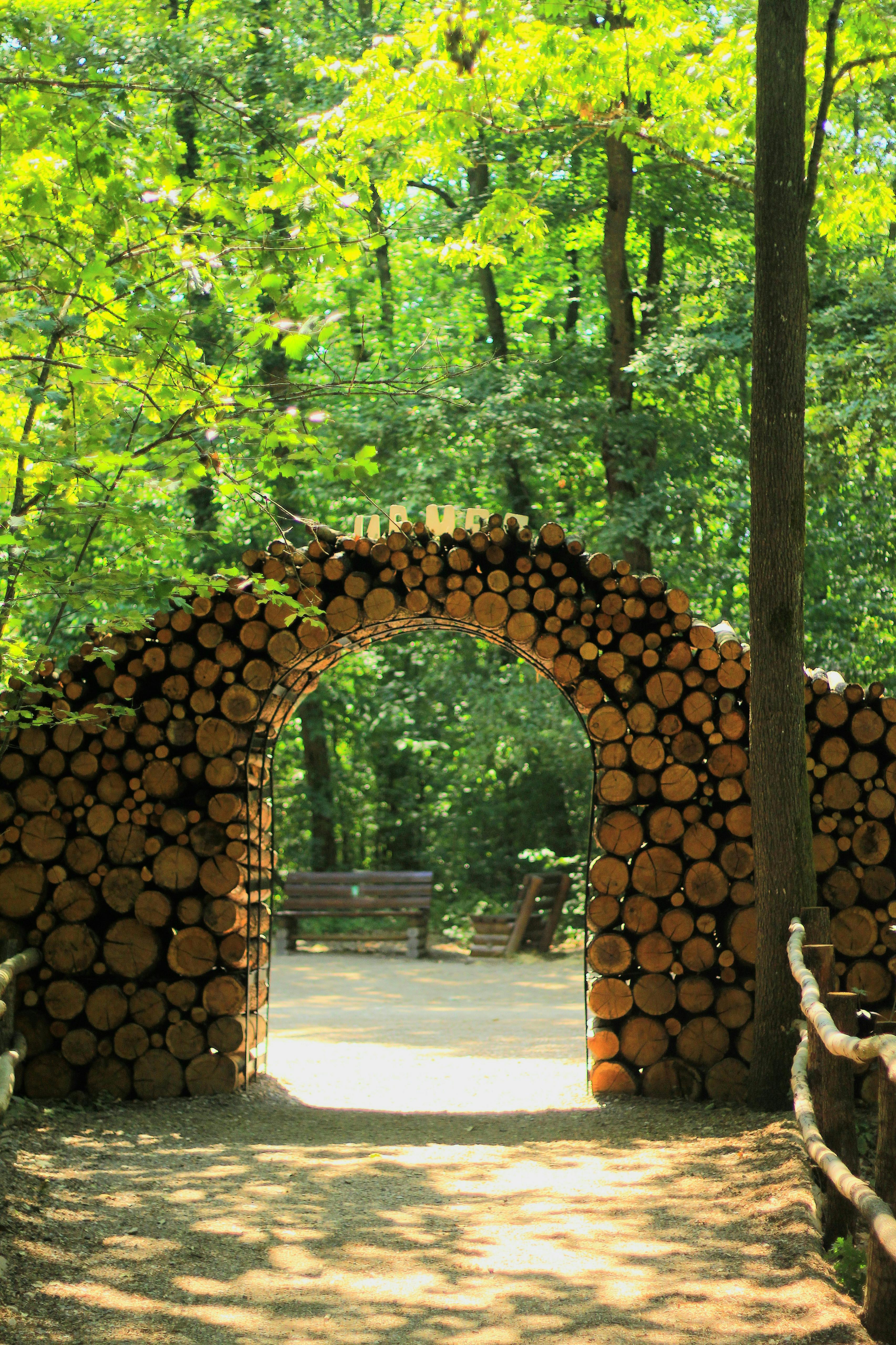 Logs Amulet Photos, Download The BEST Free Logs Amulet Stock Photos ...