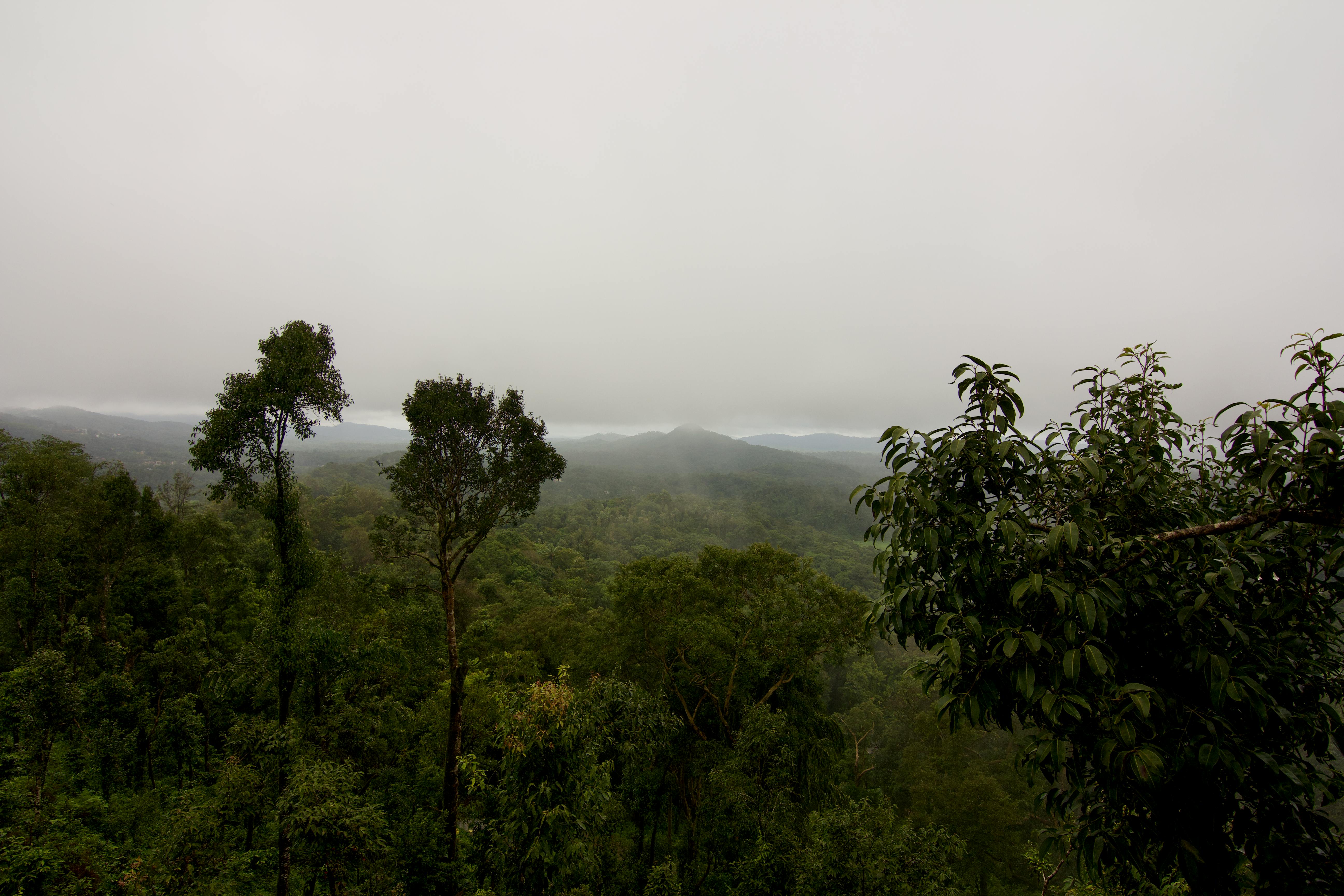 Coorg, Karnataka Photos, Download The BEST Free Coorg, Karnataka Stock ...