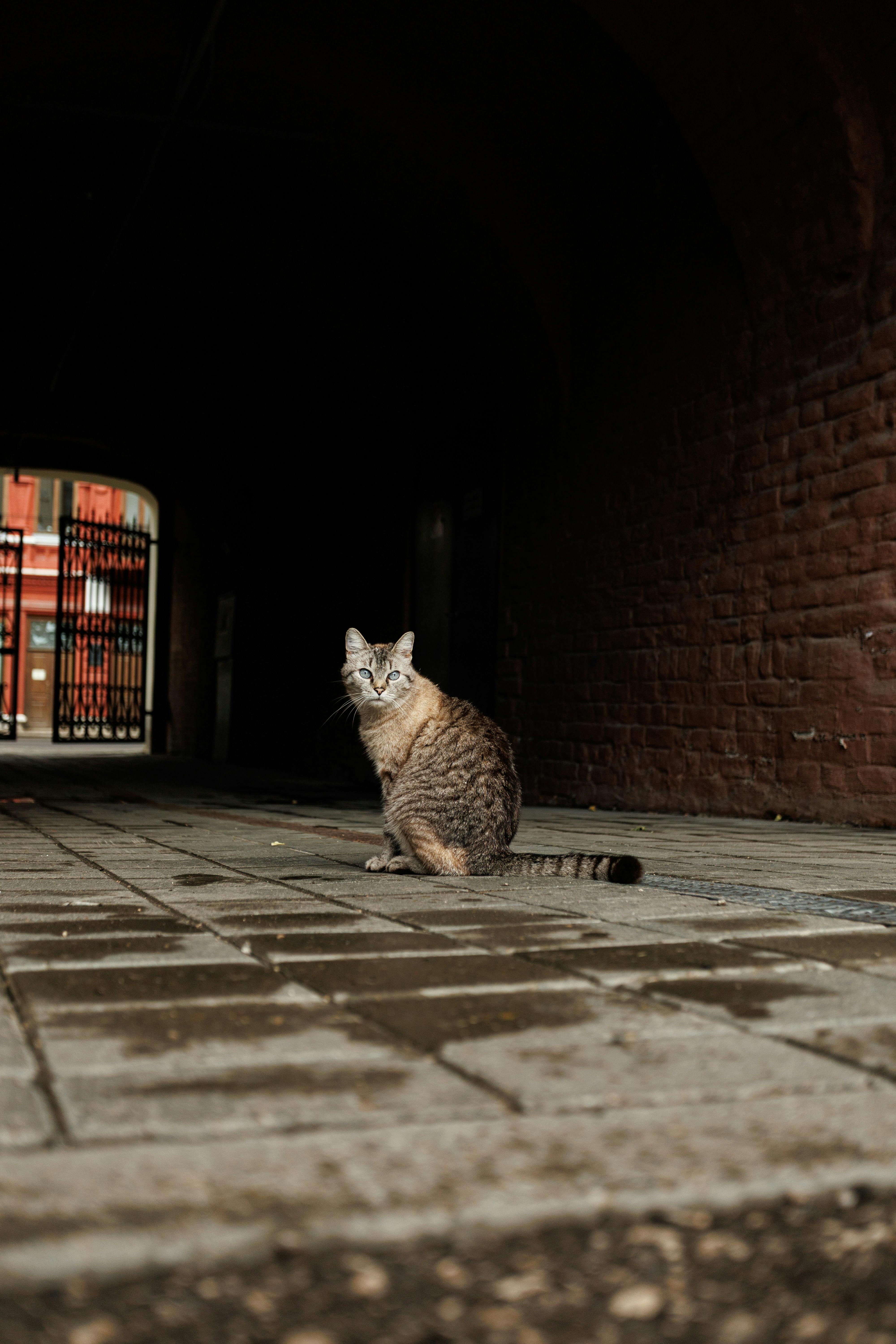 Depth Photos, Download The BEST Free Depth Stock Photos & HD Images