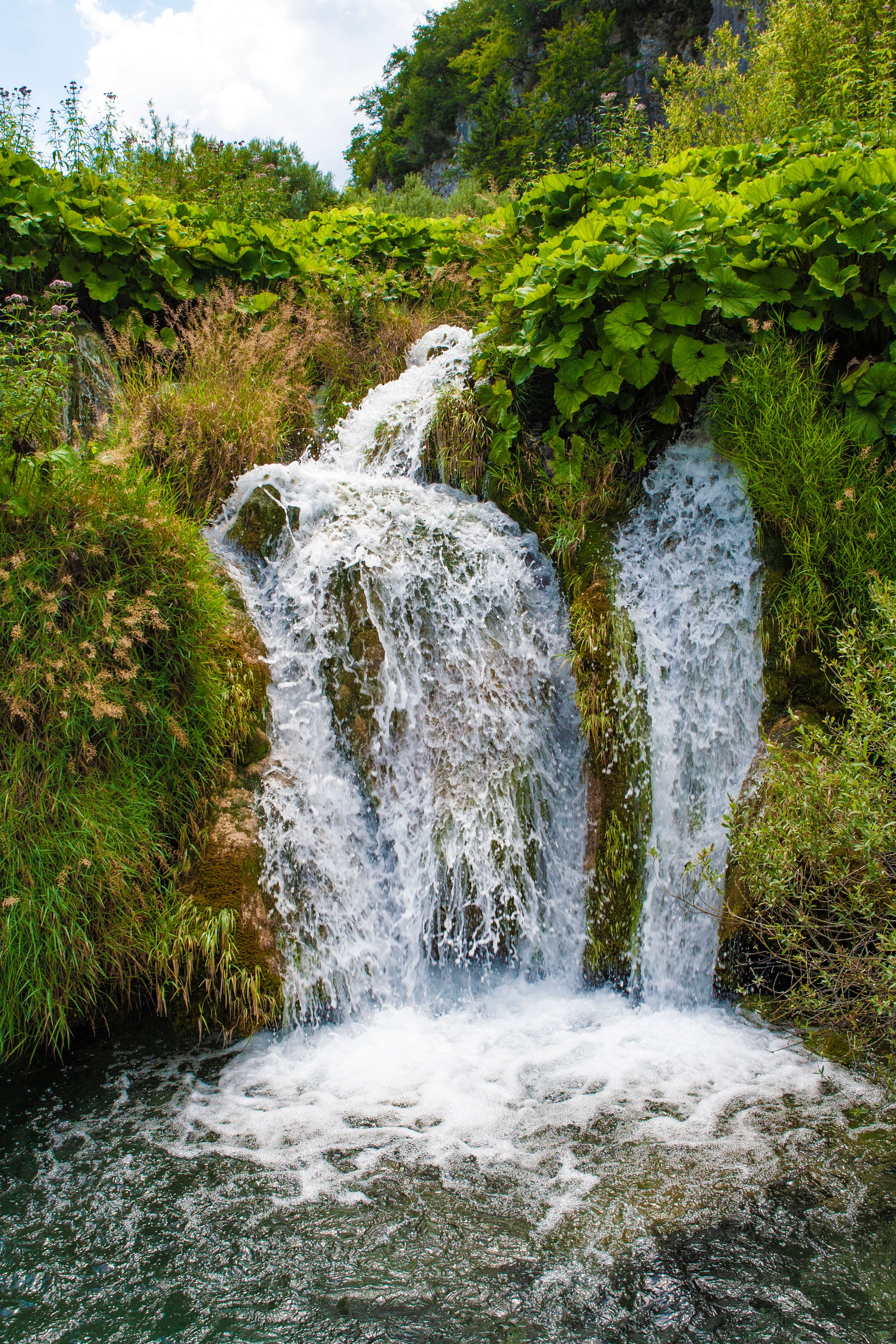 Lush Green Waterfall in Nepali Forest · Free Stock Photo