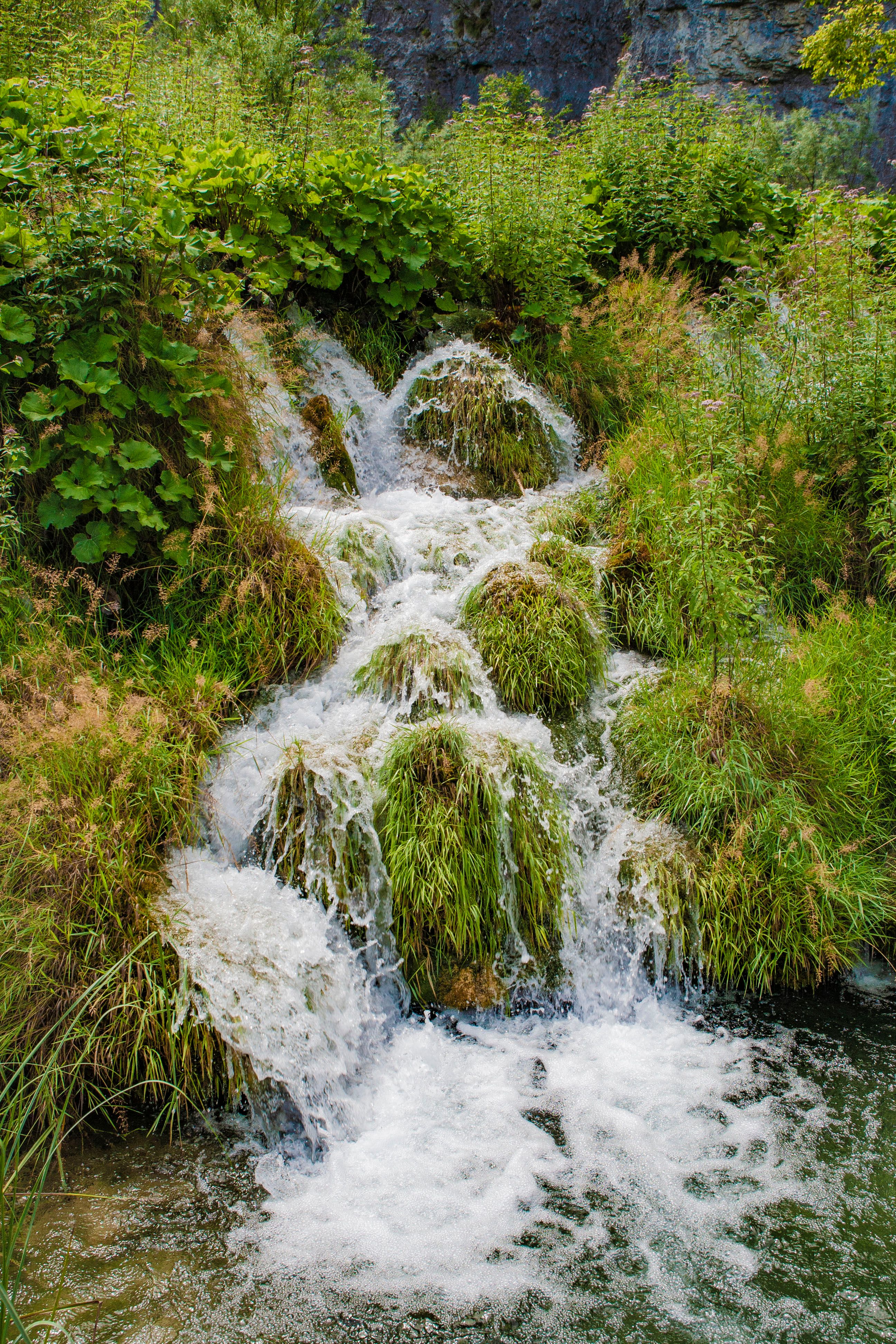 Serene Cascading Waterfall in a Lush Forest · Free Stock Photo