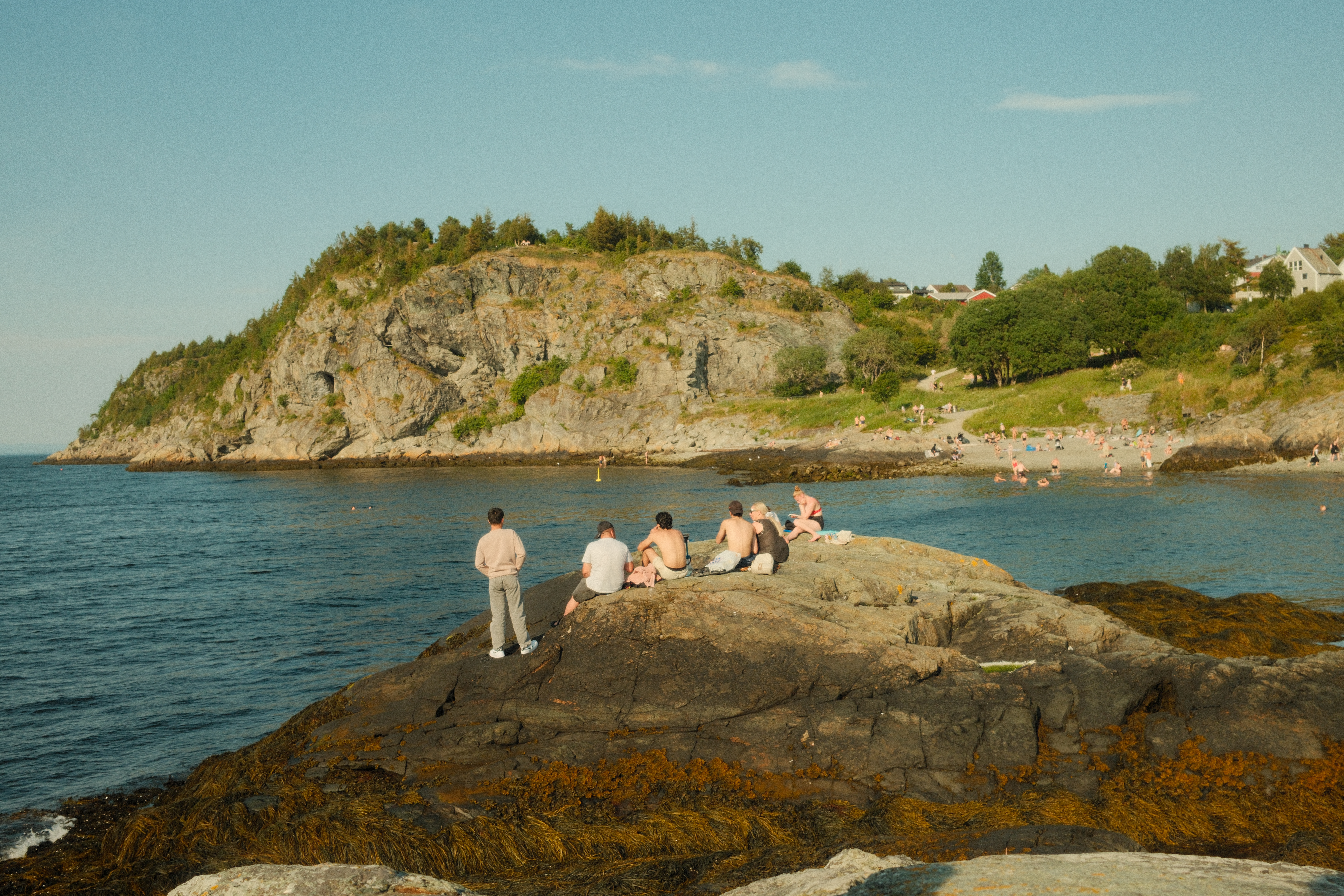 Friends On Island Photos, Download The BEST Free Friends On Island ...