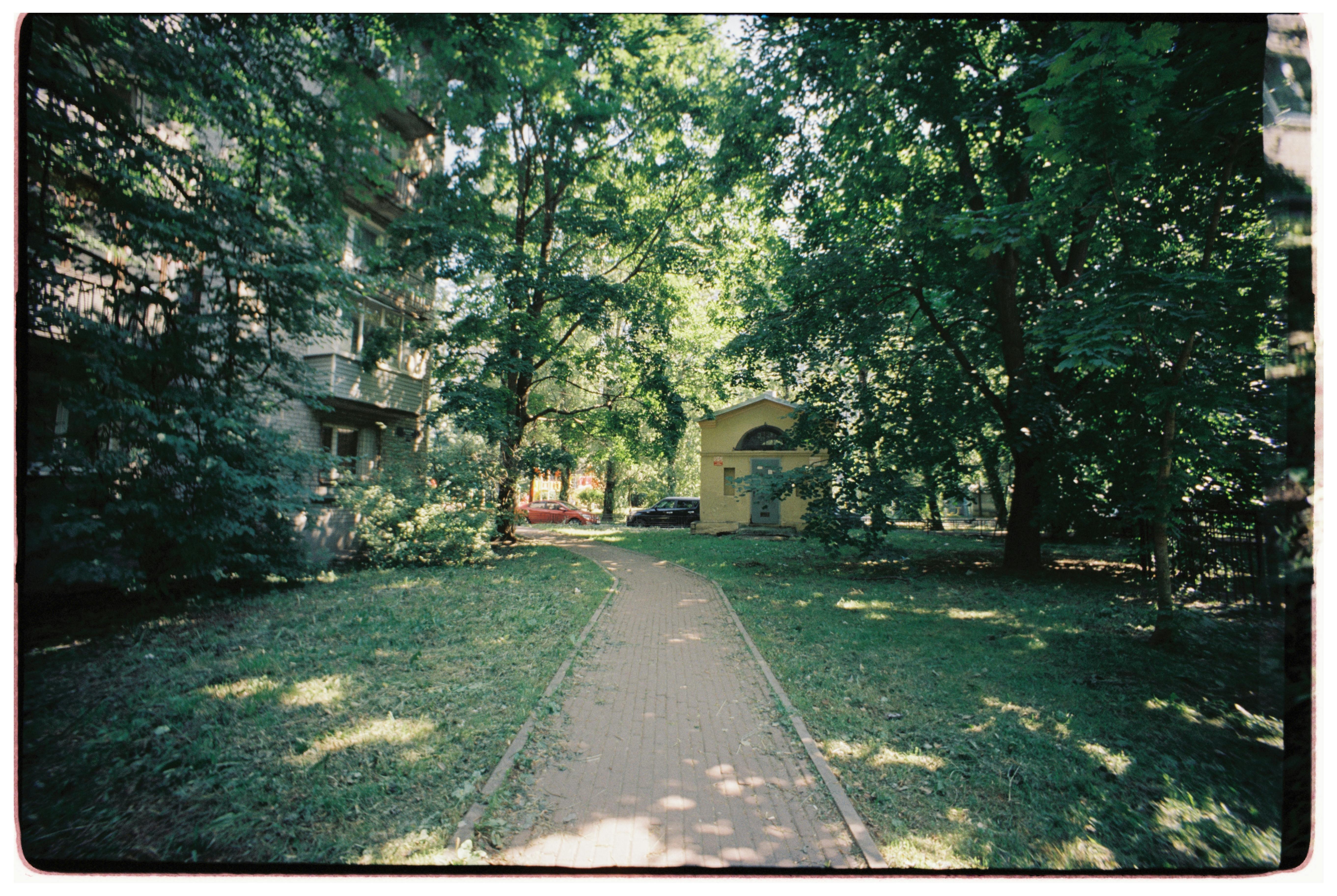 Sunny Pathway in Lush Green Residential Area · Free Stock Photo