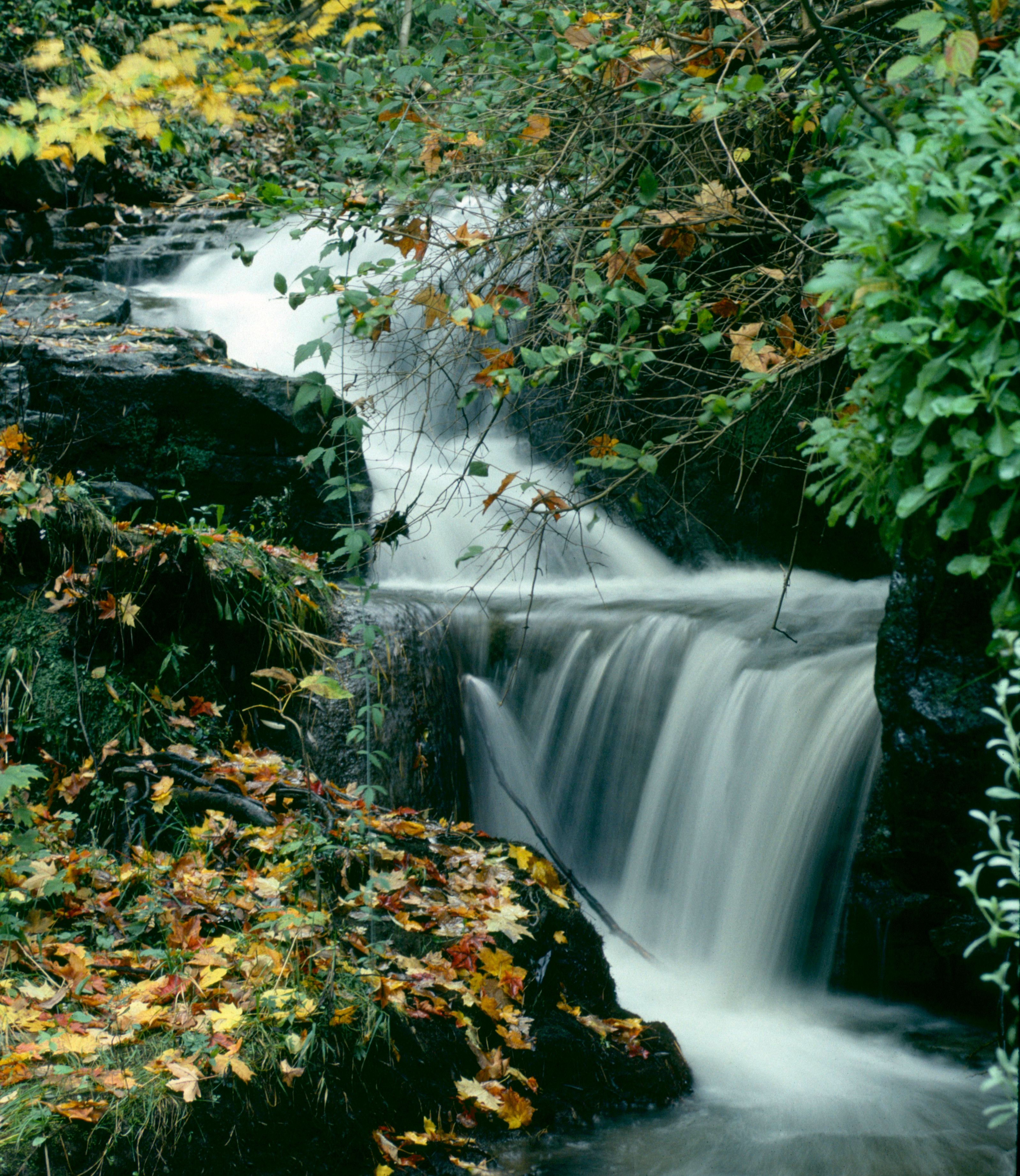 Tranquil Autumn Waterfall in Lush Forest Setting · Free Stock Photo