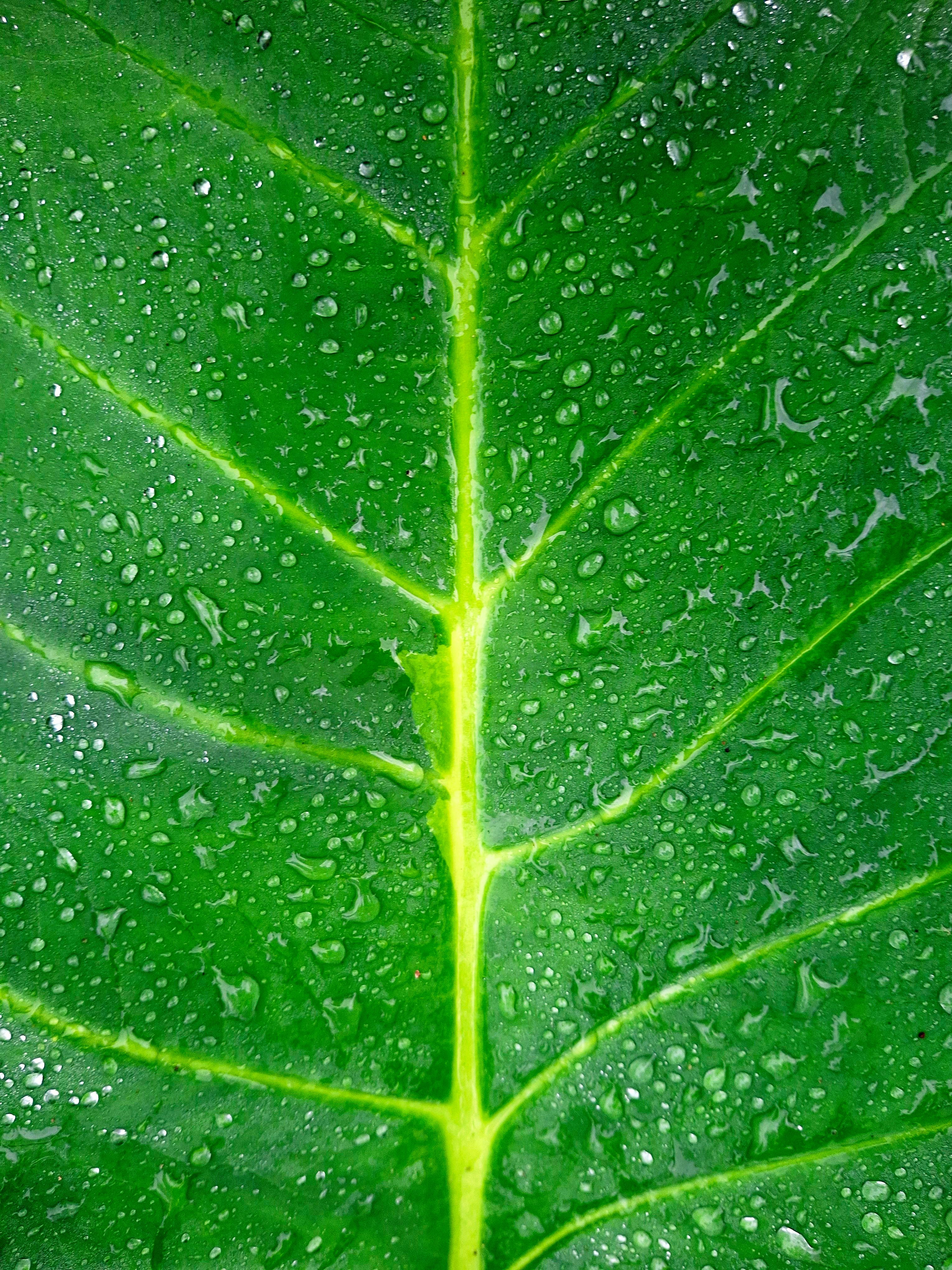 Rainmeter Wallpaper Photos, Download The BEST Free Rainmeter Wallpaper ...