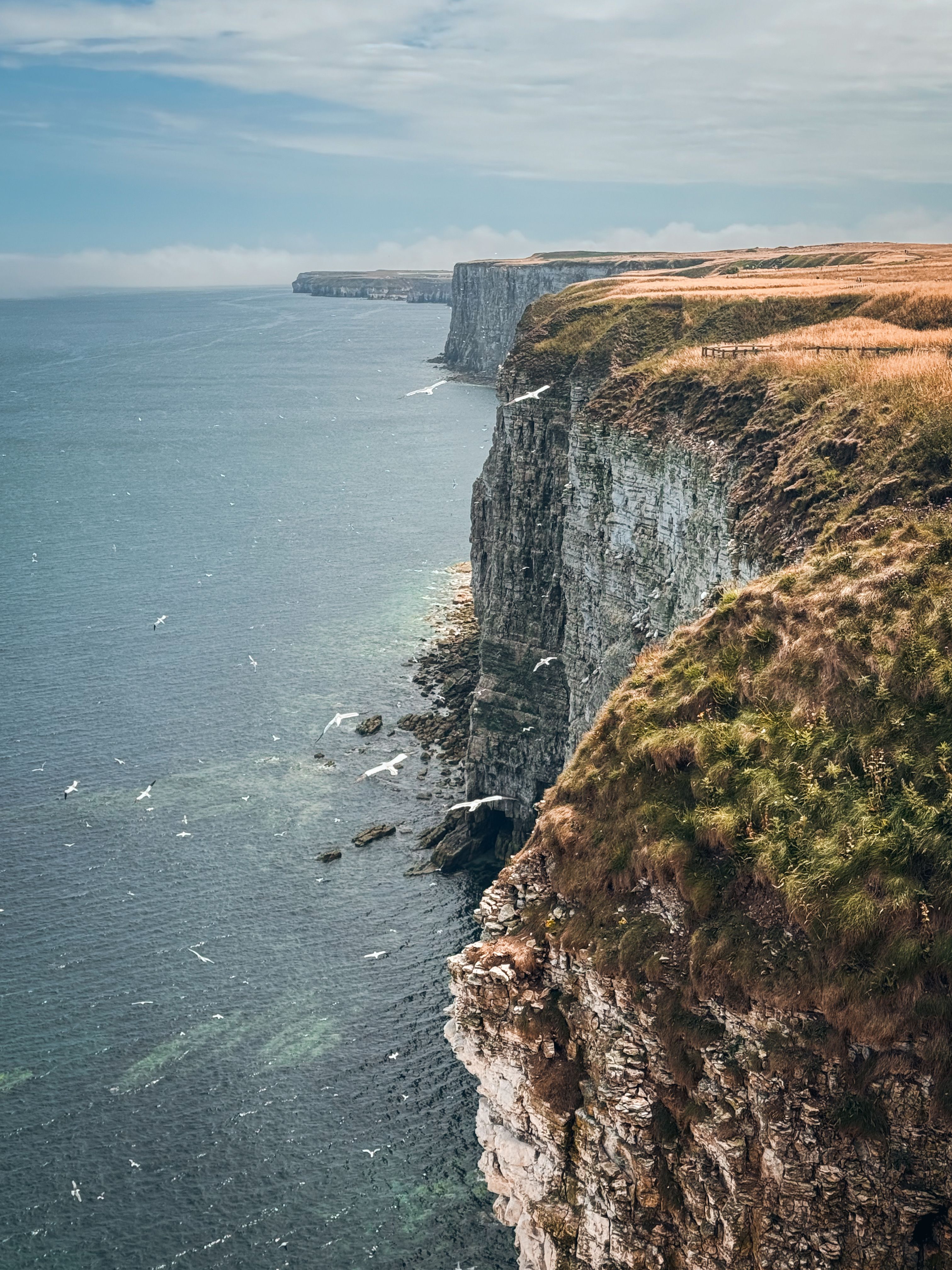 Scenic View of Cliff by Sea · Free Stock Photo
