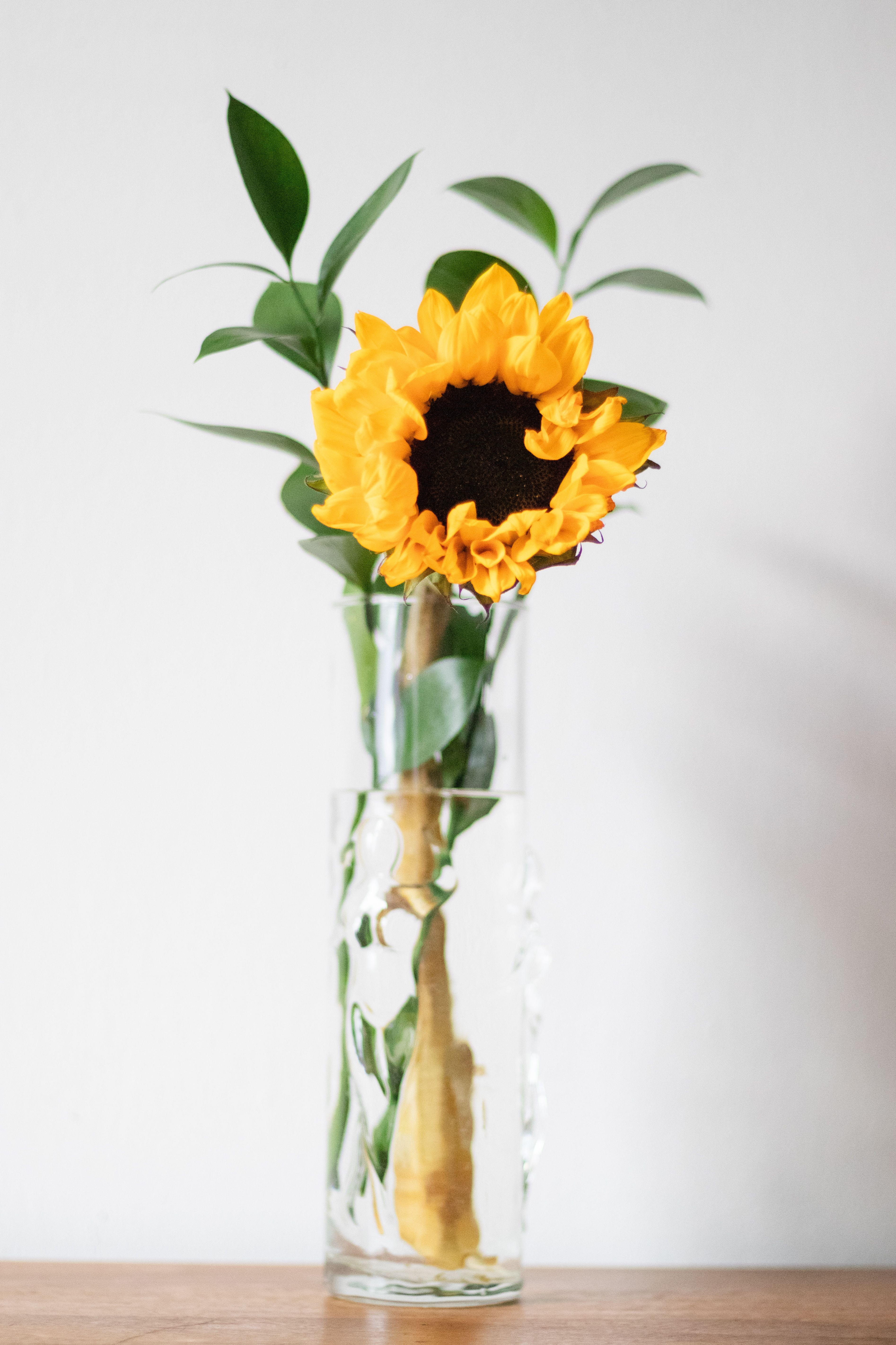 Yellow Color Photos, Download The BEST Free Yellow Color Stock Photos ...